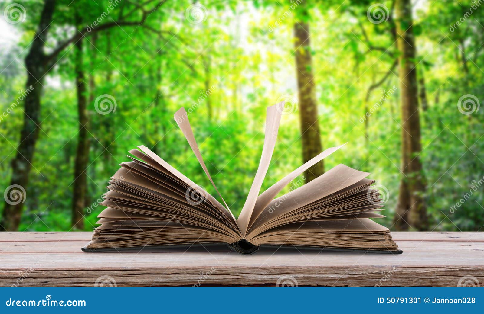 Open book on wood table stock image. Image of information - 50791301