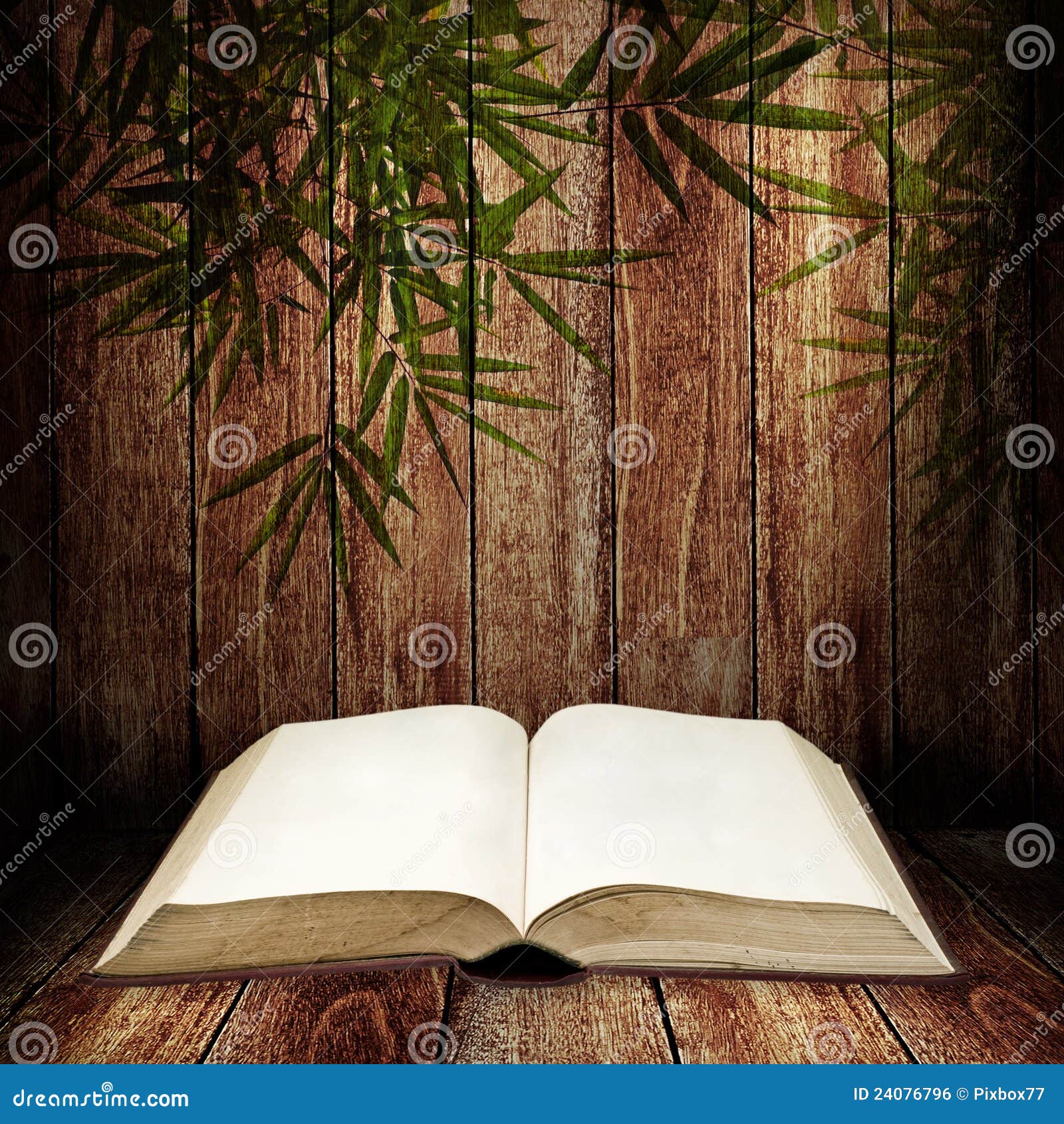 Open book on wooden table stock photo. Image of leaves - 24076796