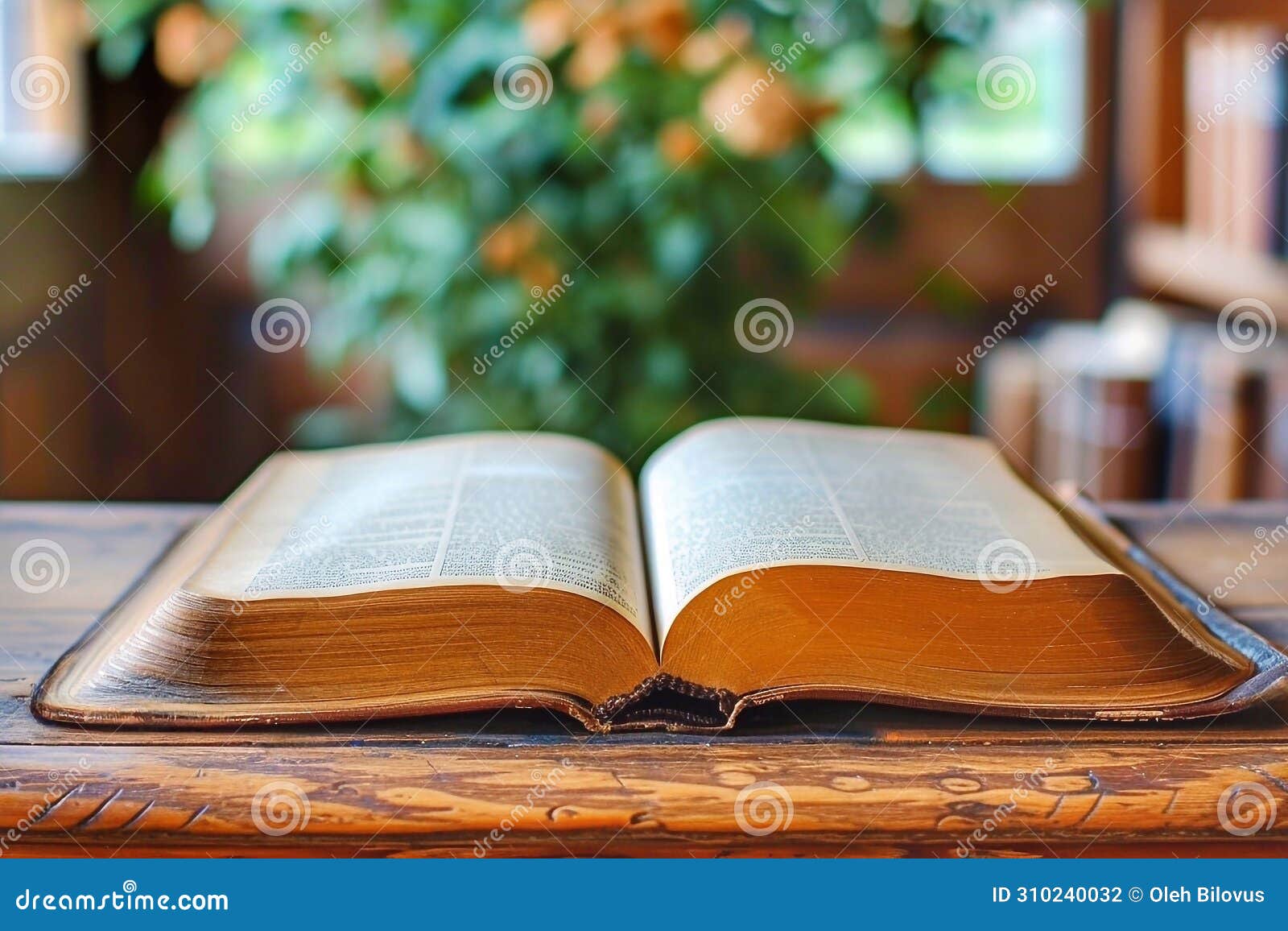 Open Book on Wooden Table in Library Stock Illustration - Illustration ...