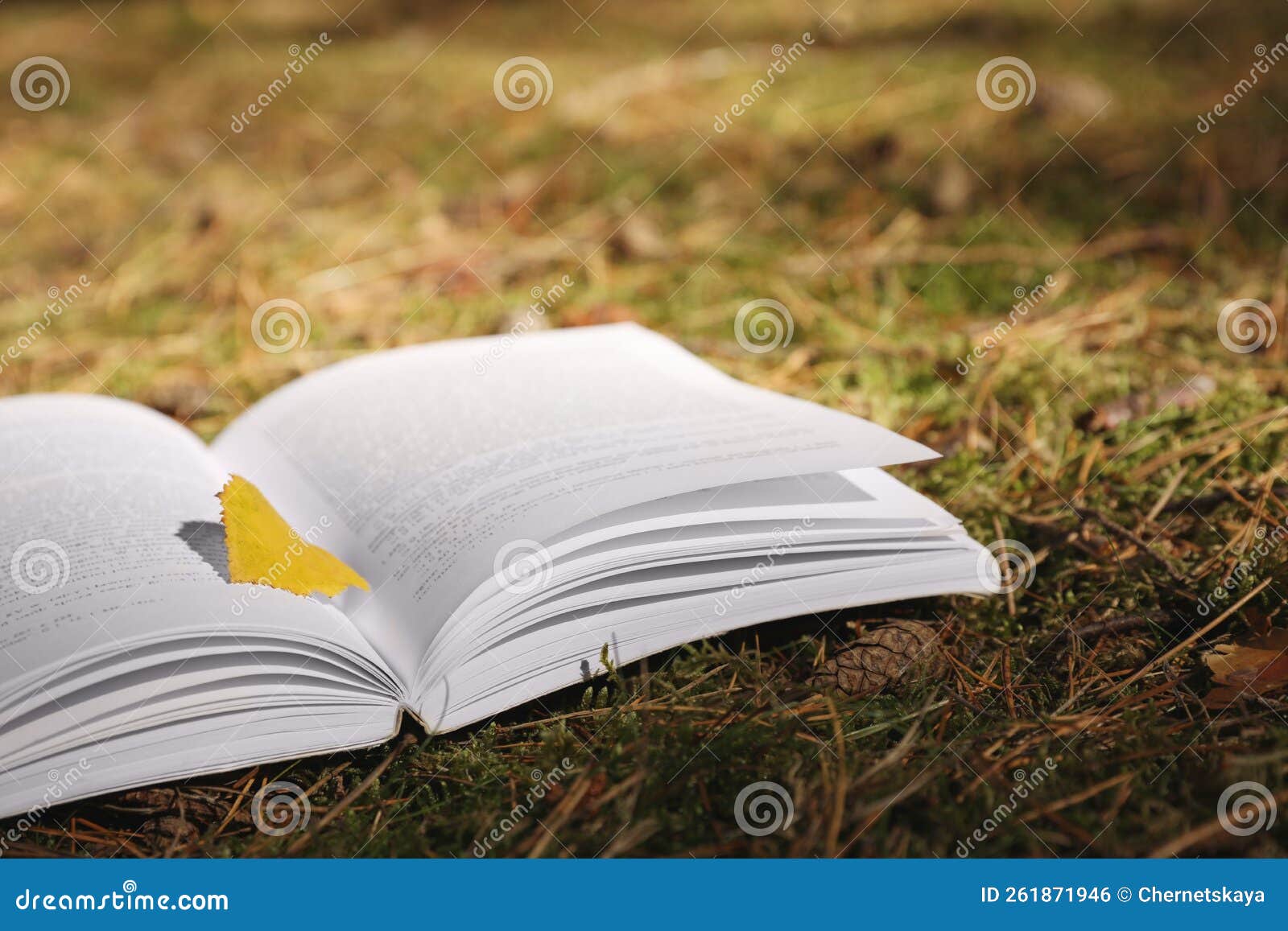Open Book and Yellow Leaf on Grass Outdoors Stock Photo - Image of ...