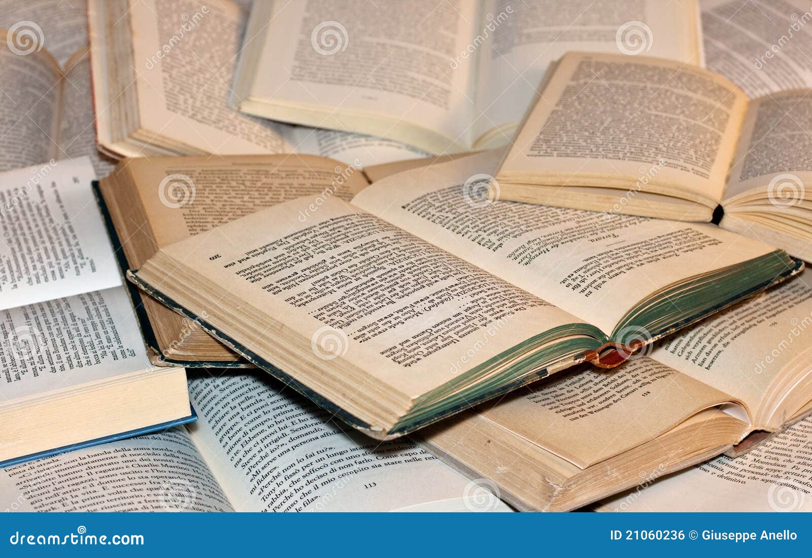 Open books stock photo. Image of books, pine, exams, prepare - 21060236