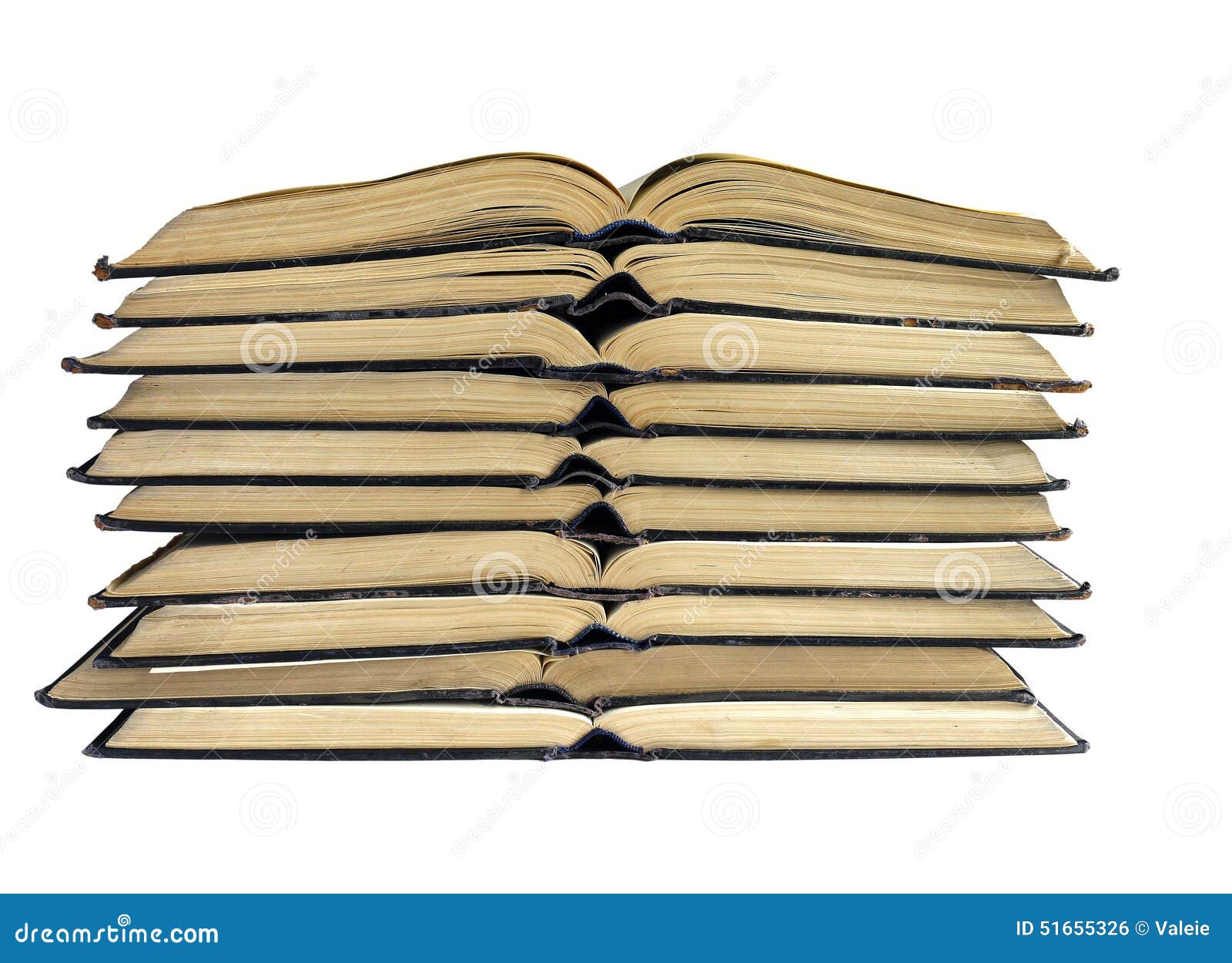 The open books stock photo. Image of seedy, background - 51655326