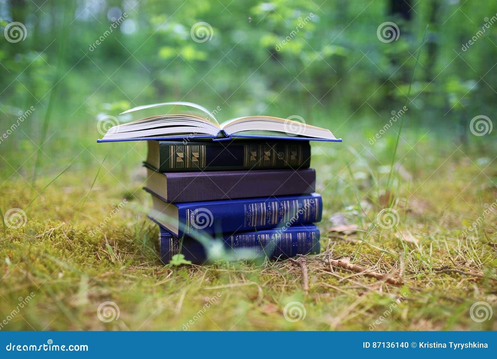 Open Books Outdoor. Books in the Woods Stock Photo - Image of archive ...