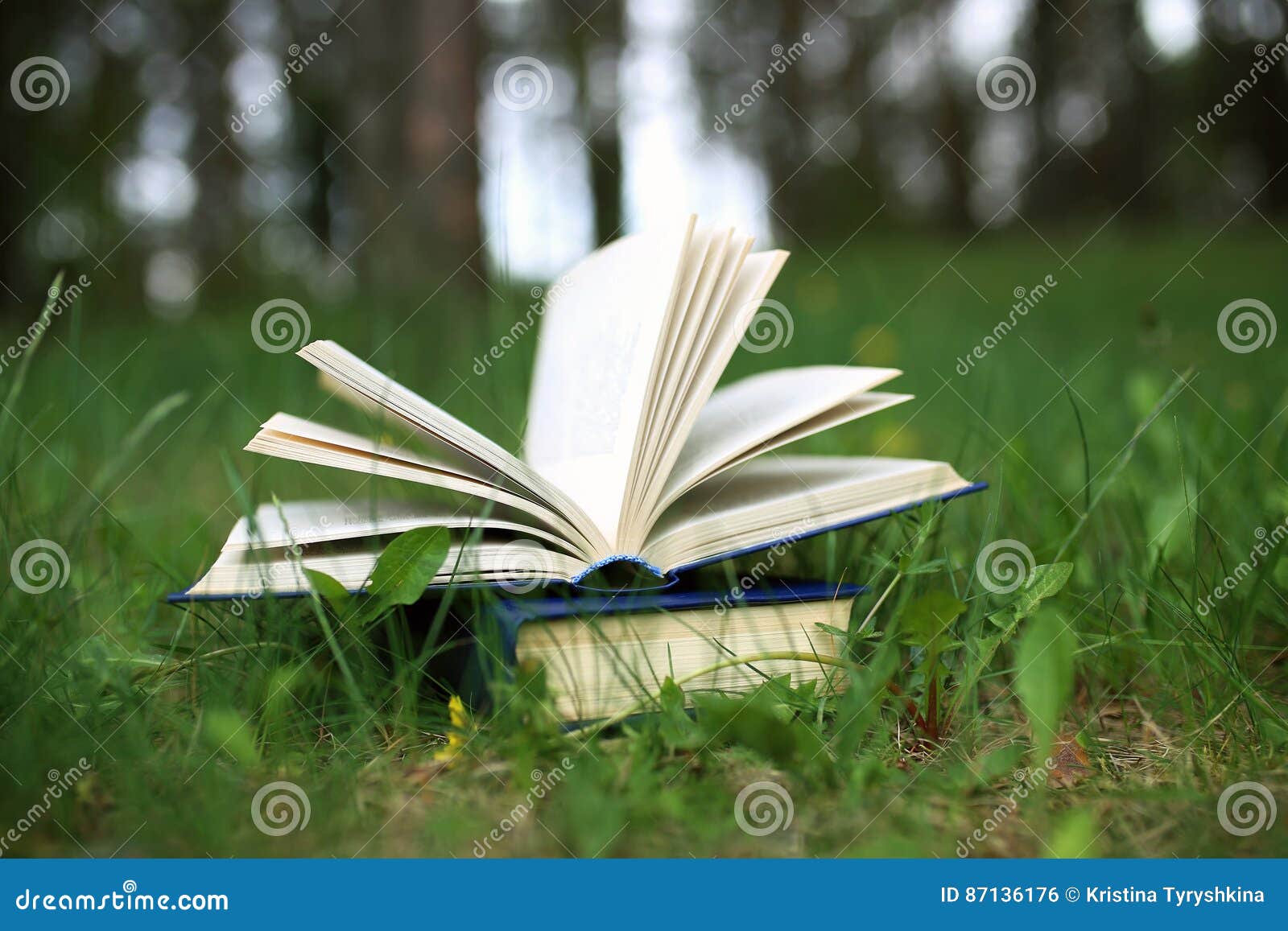 Open Books Outdoor. Books in the Woods Stock Photo - Image of education ...