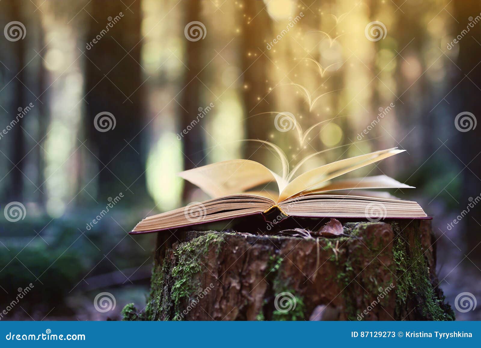 Open Books Outdoor. Knowledge is Power. Book in a Forest Stock Image ...