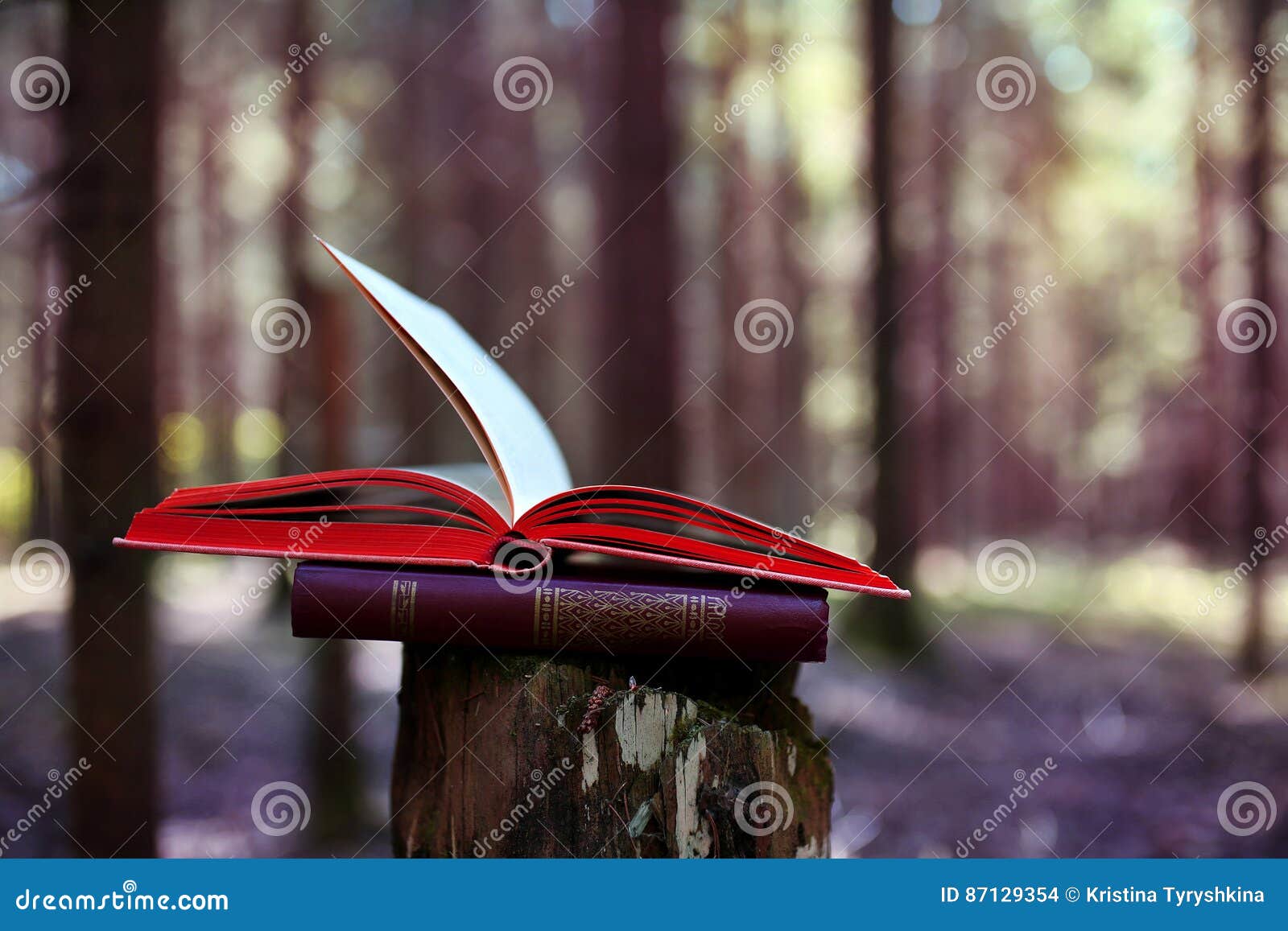 Open Books Outdoor. Knowledge is Power. Book in a Forest Stock Photo ...