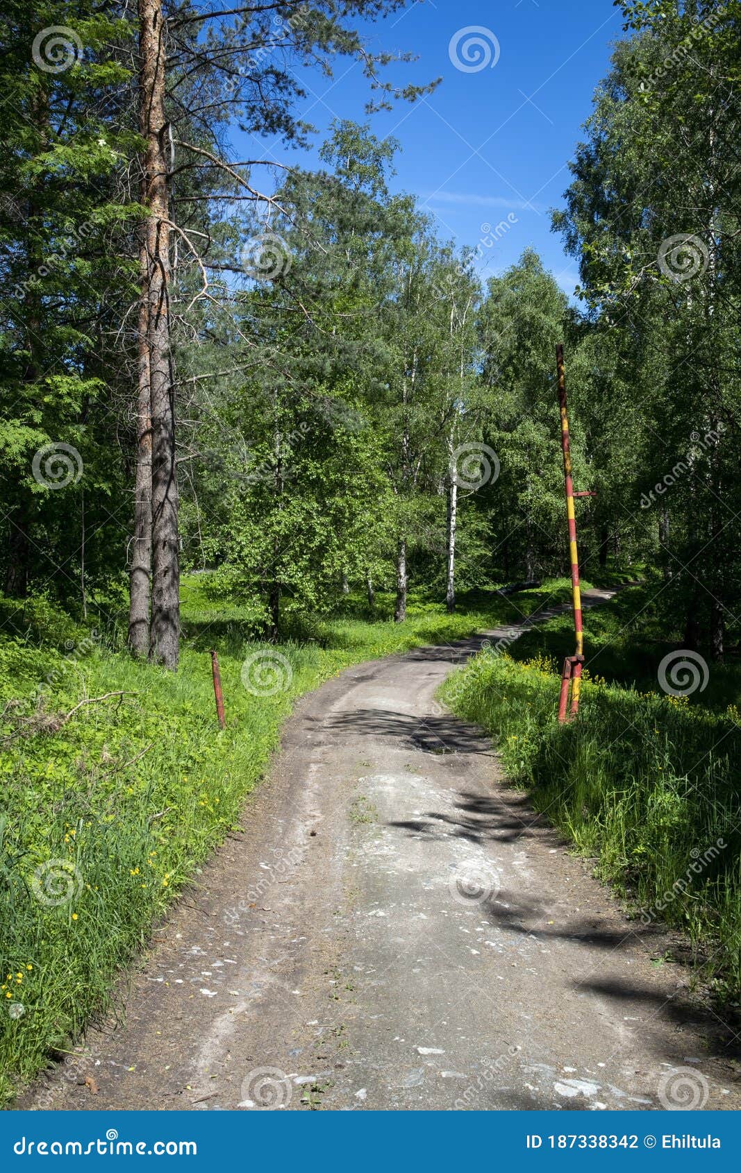 Open Boom Barrier on Dirt Road in Forest Stock Photo - Image of ...