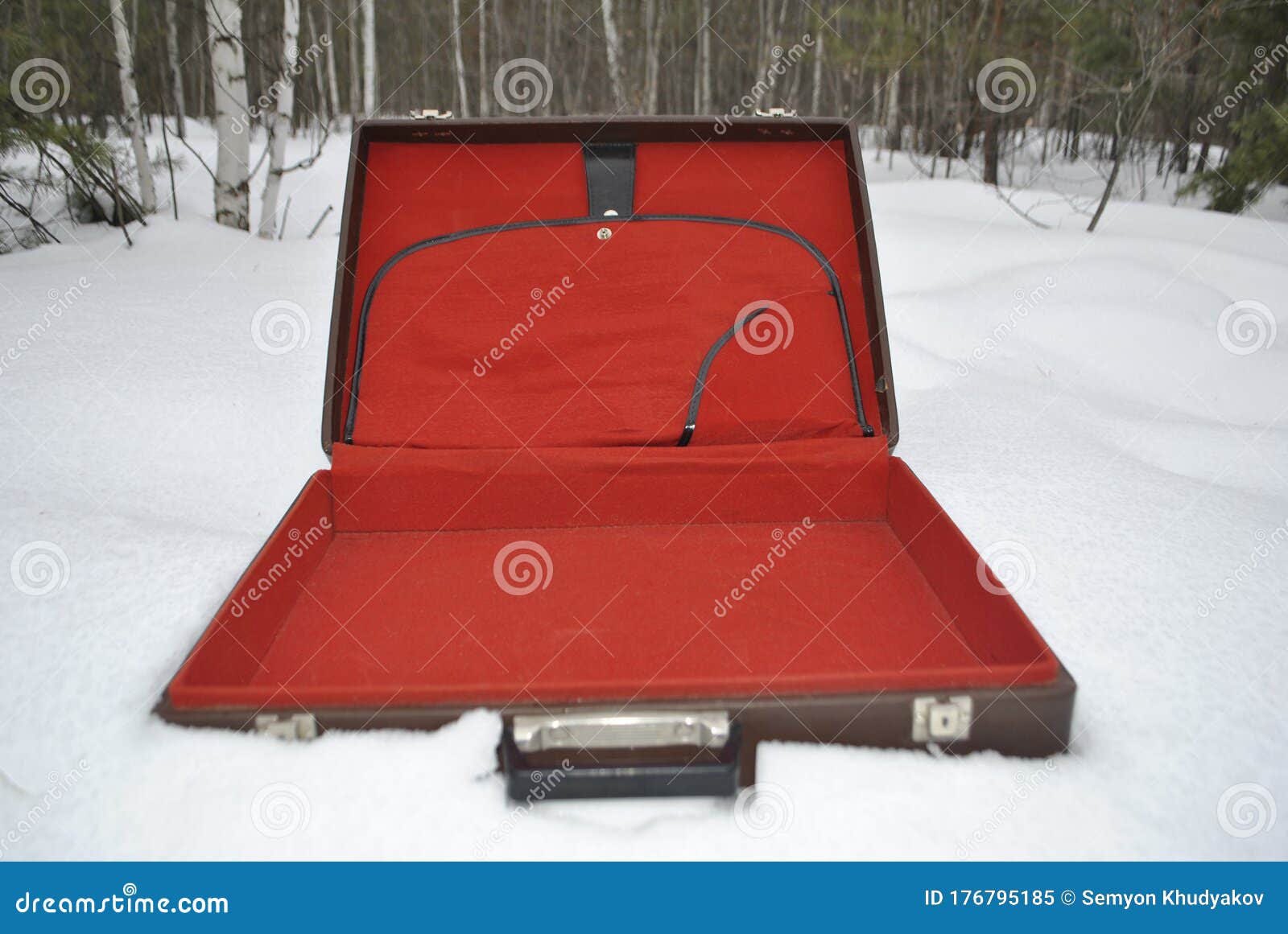 Open briefcase. stock image. Image of close, classic - 176795185