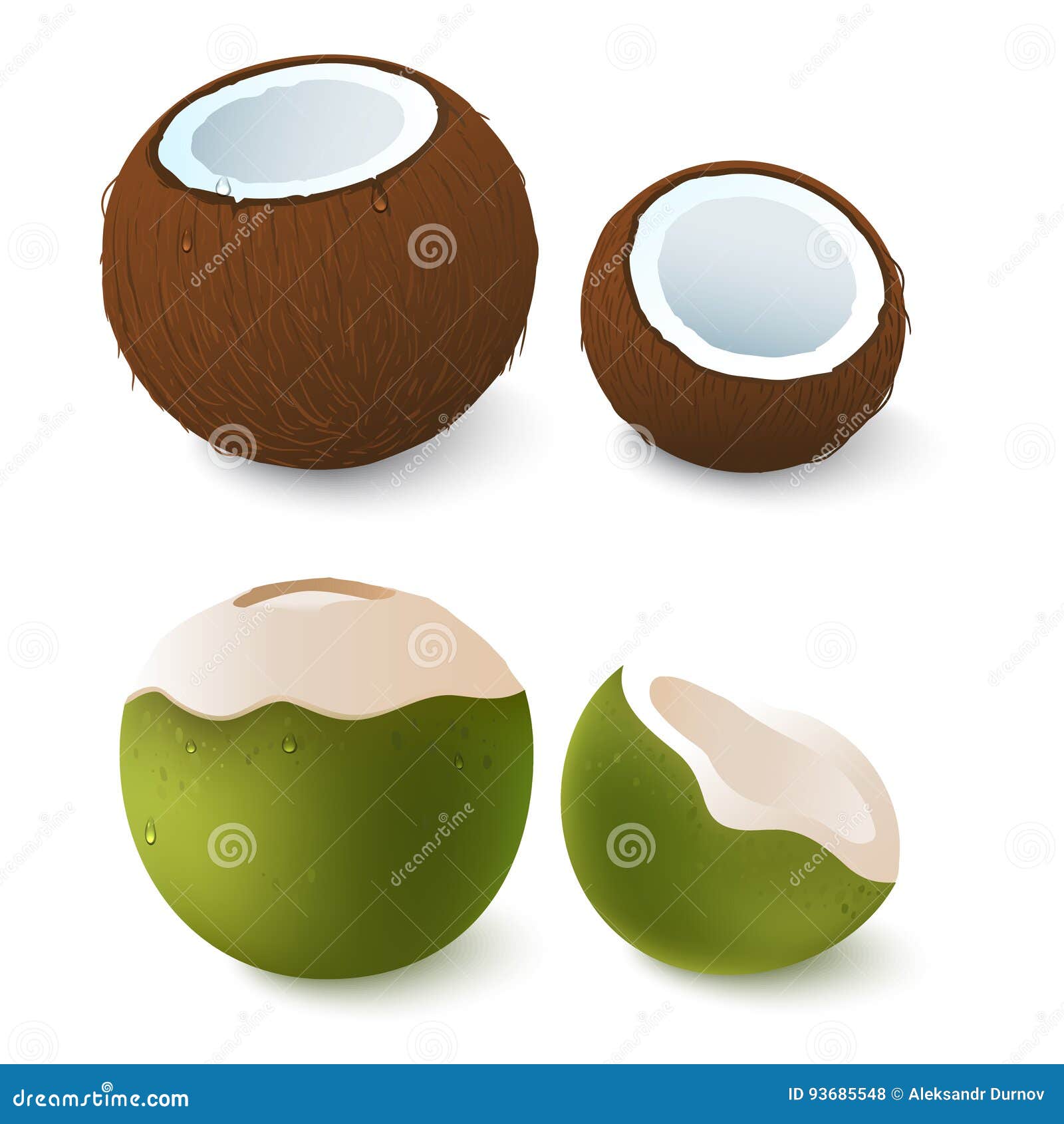 Open Brown and Green Coconut. Exotic Attribute of Summer Vacation ...