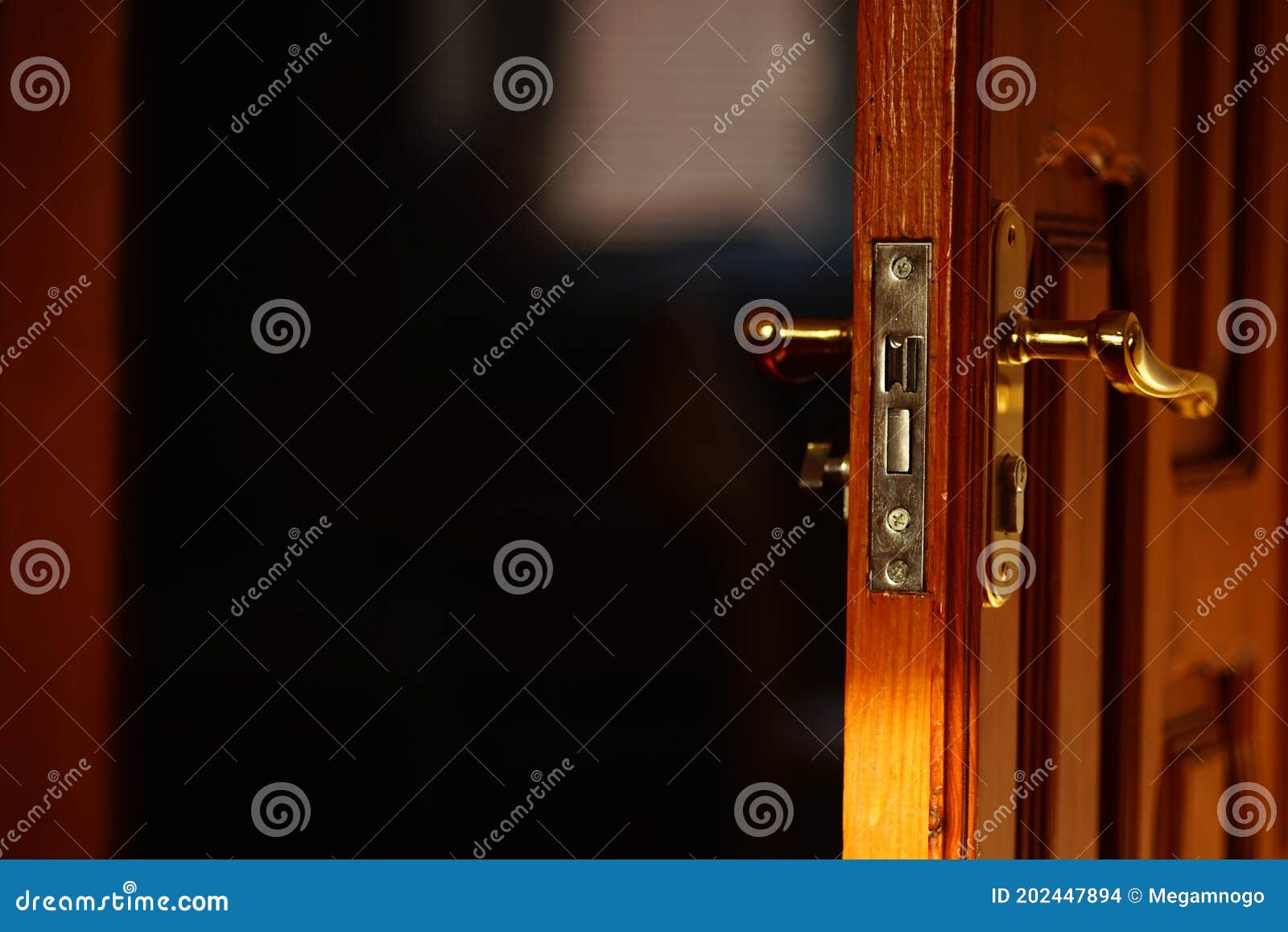 Open Brown Lacquered Wooden Door with Gold Handle Stock Photo - Image ...