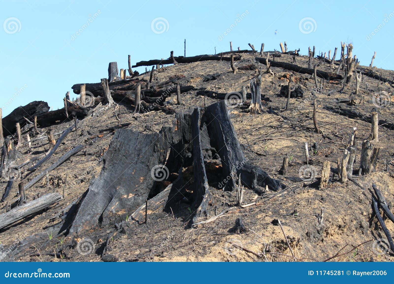 Open burning stock image. Image of global, landscape - 11745281