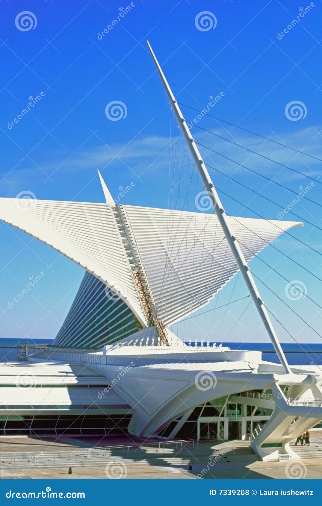 Open calatrava wings editorial stock photo. Image of green - 7339208