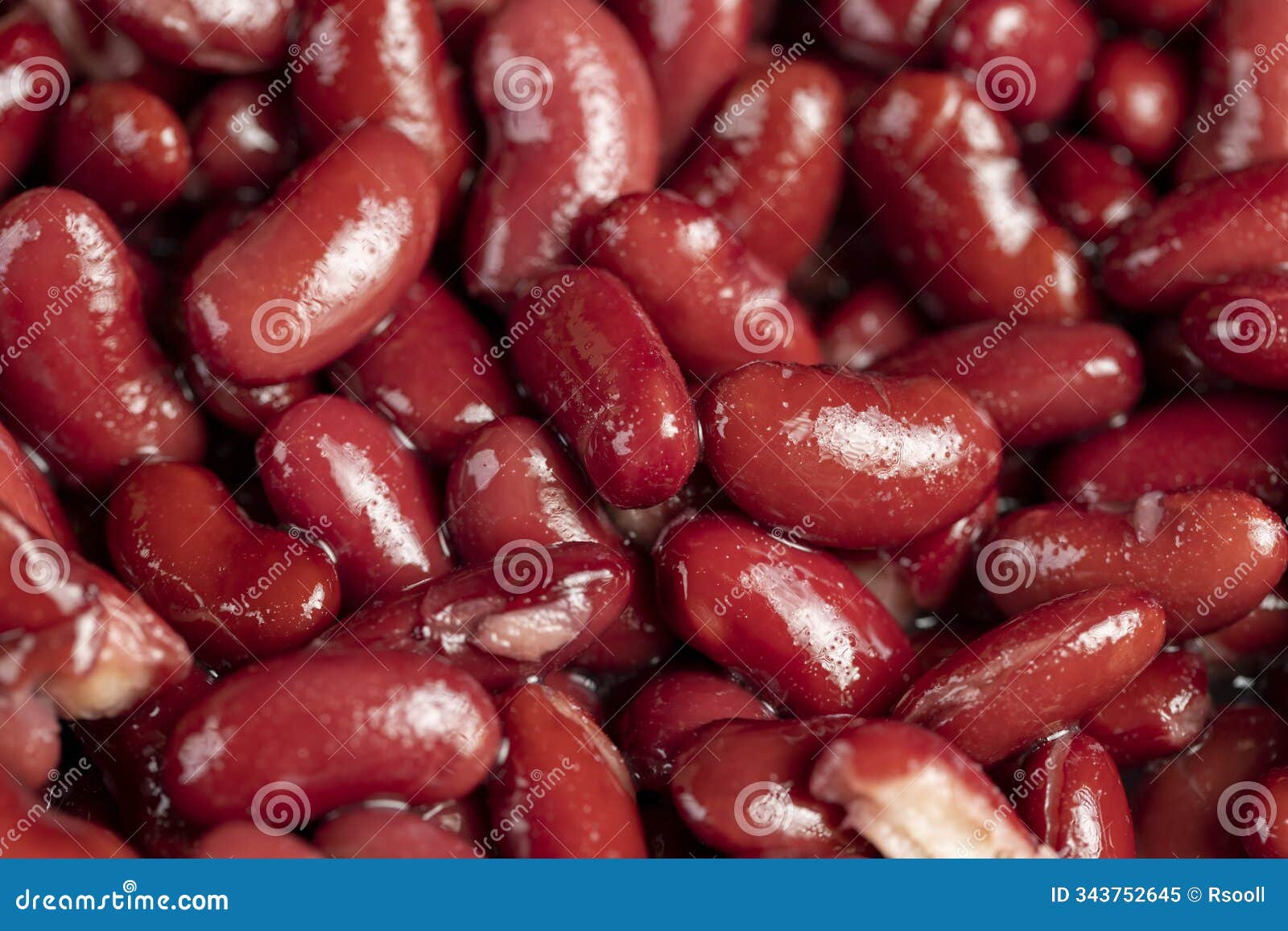 Open Canned Red Beans in Brine Stock Image - Image of vegetable, common ...