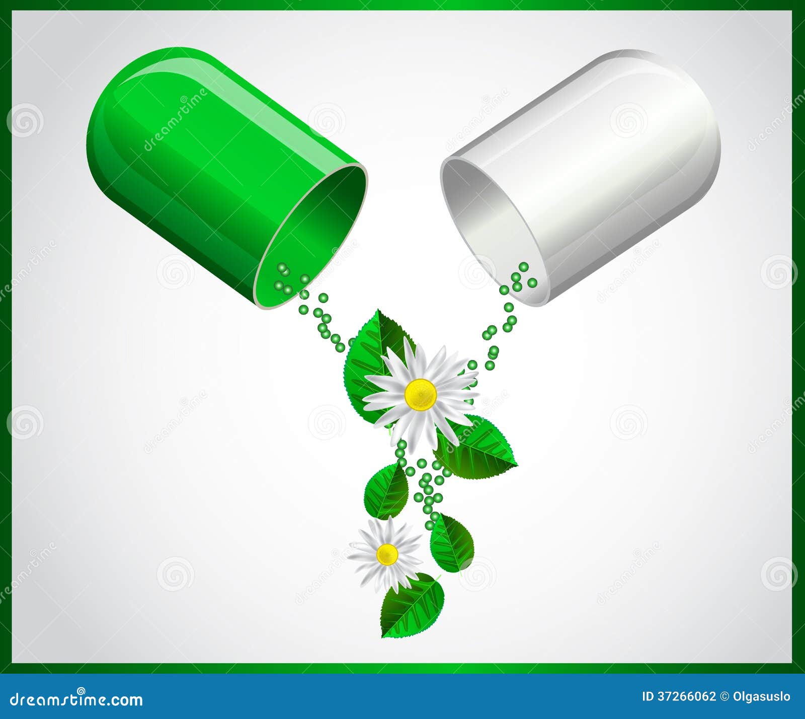 Capsule And Leaves Royalty-Free Stock Photography | CartoonDealer.com ...