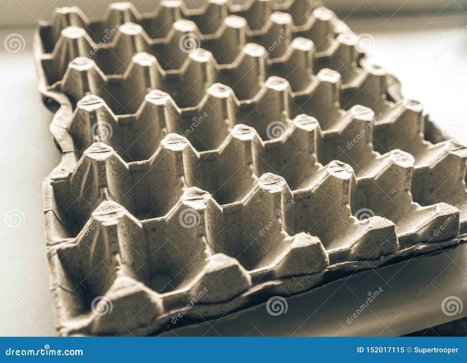 Open Cardboard Egg Box stock image. Image of fragile - 152017115