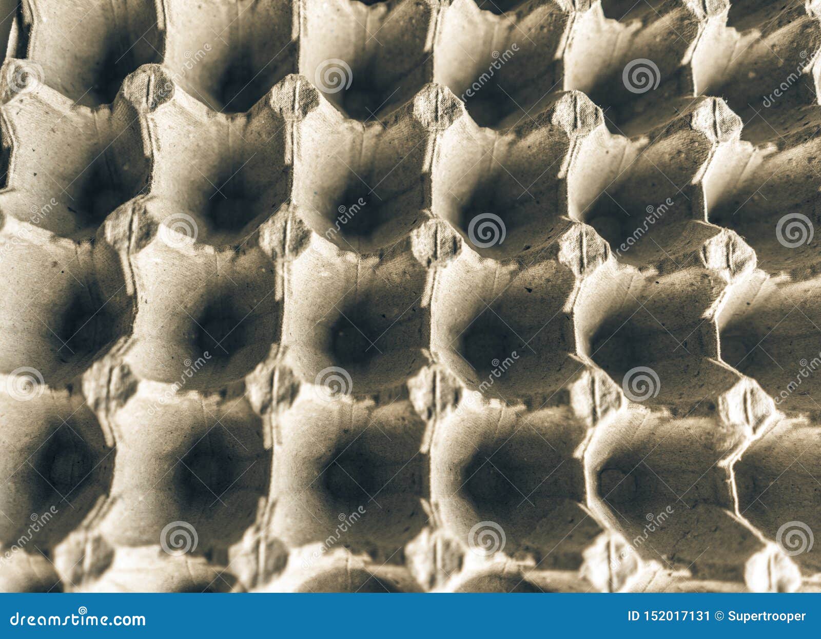 Open Cardboard Egg Box stock image. Image of pack, easter - 152017131