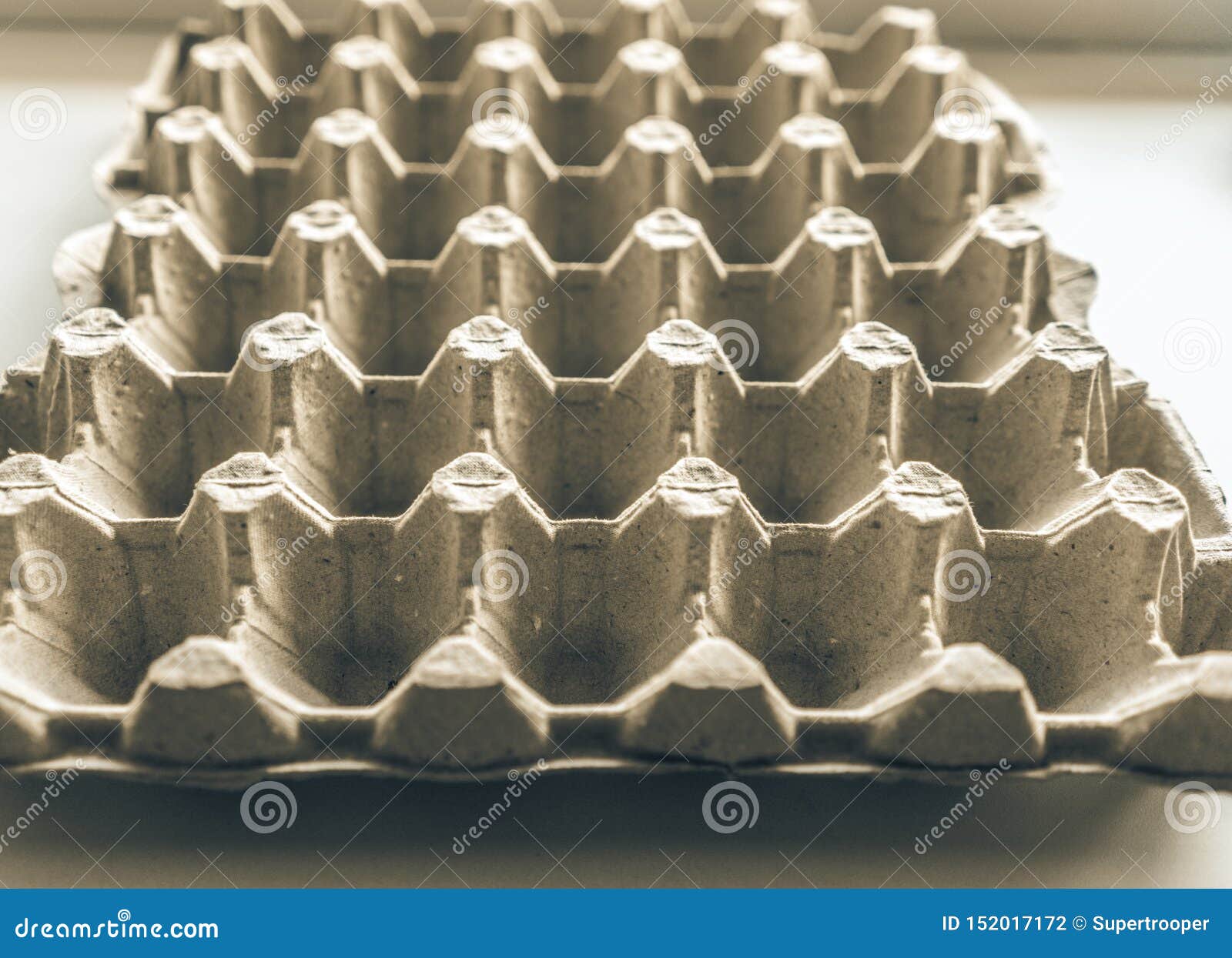 Open Cardboard Egg Box stock photo. Image of pollution - 152017172