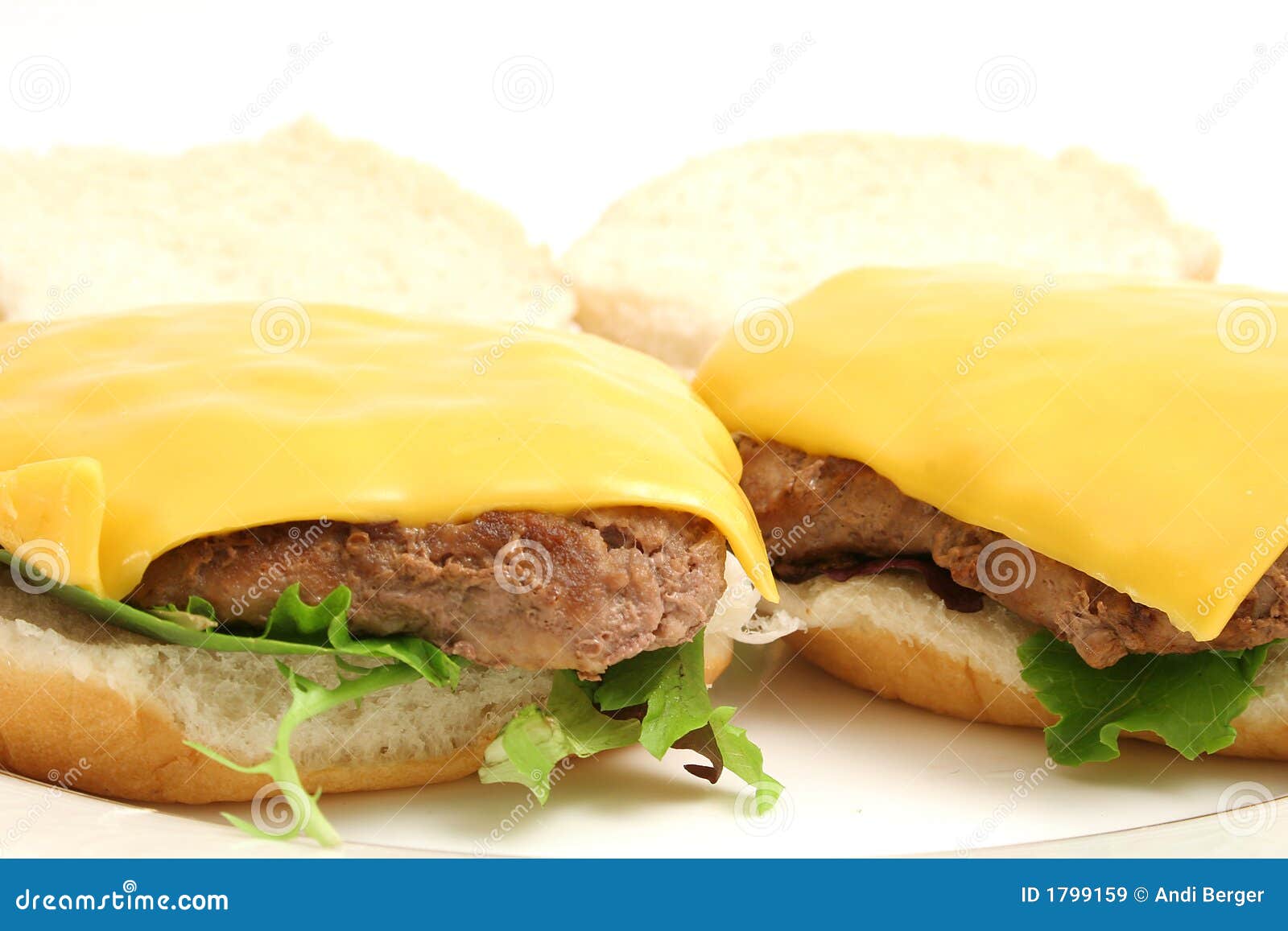 Open Cheeseburger Plain Picture. Image: 1799159