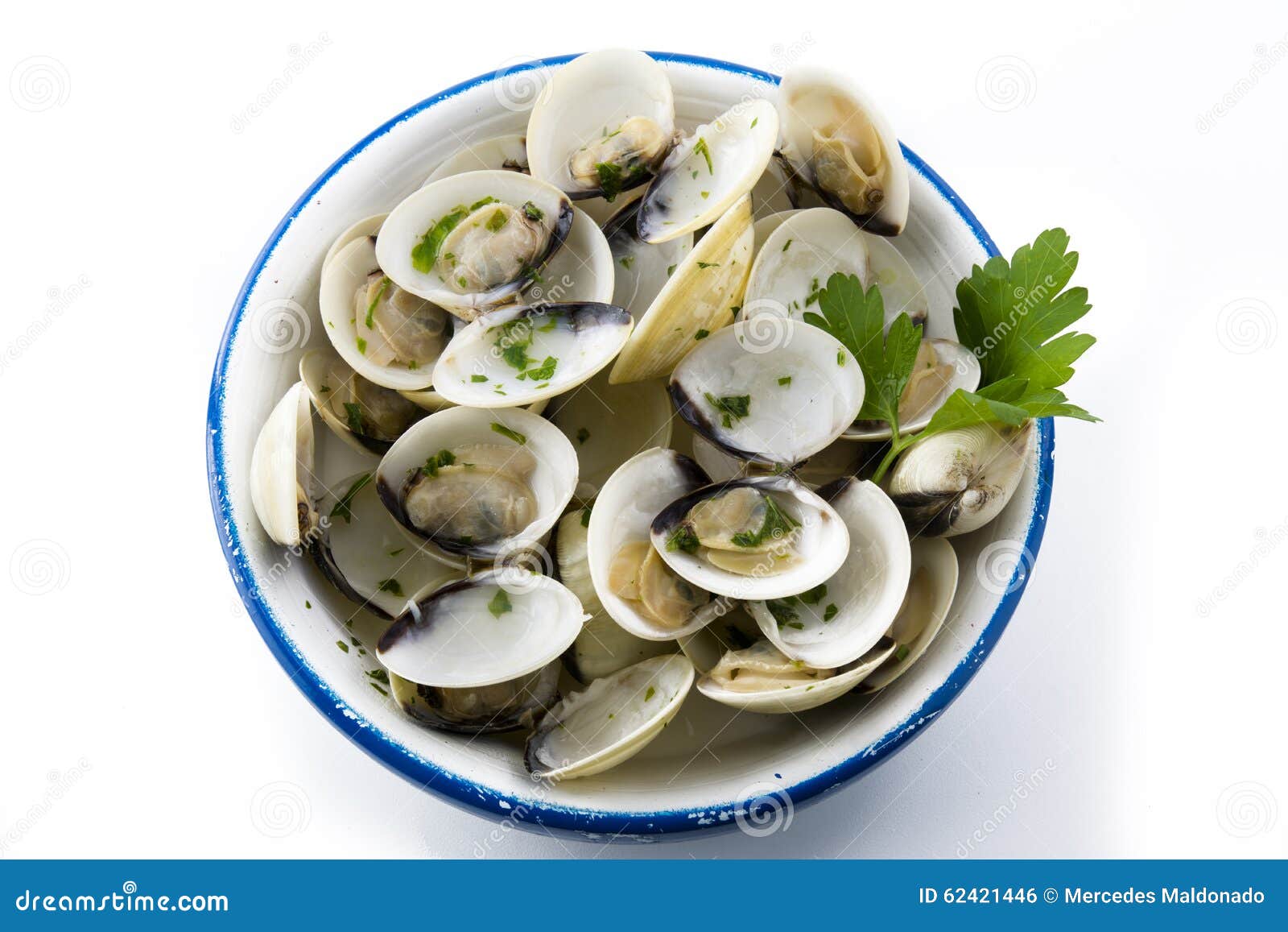 Open Clams with Parsley on Blue Napkin, Isolated Stock Photo - Image of ...