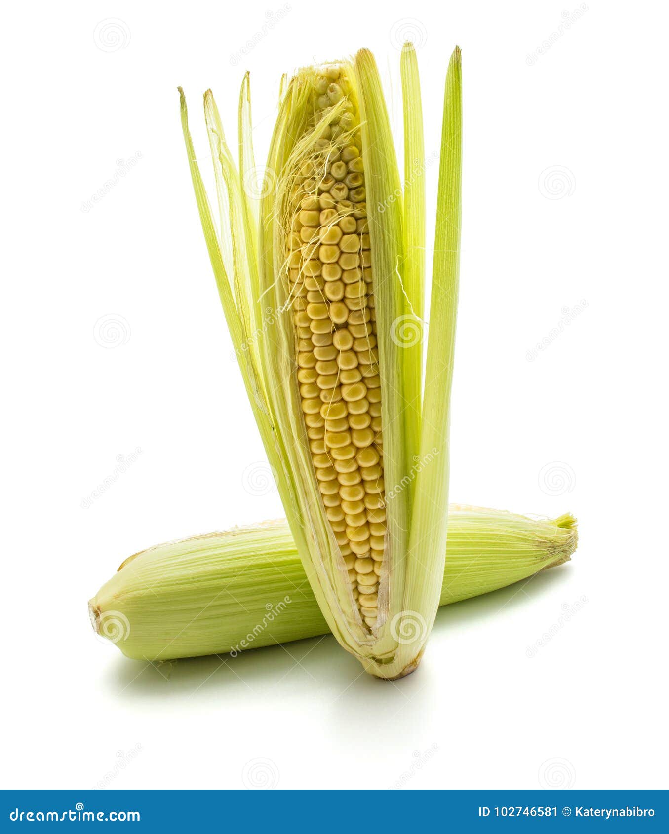 Corn stock image. Image of long, grains, background - 102746581