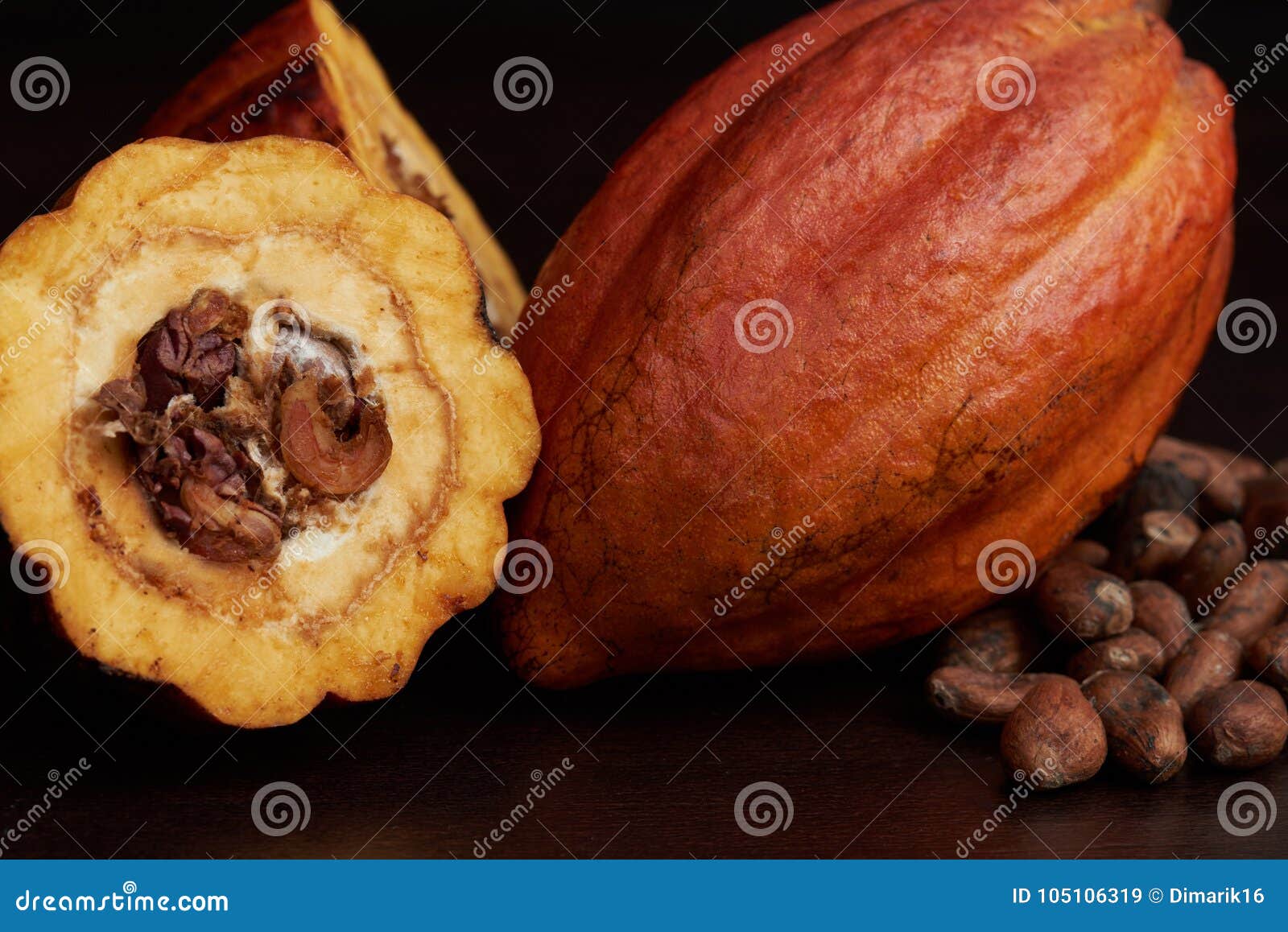 Open cocoa pod fruit stock image. Image of beans, food - 105106319