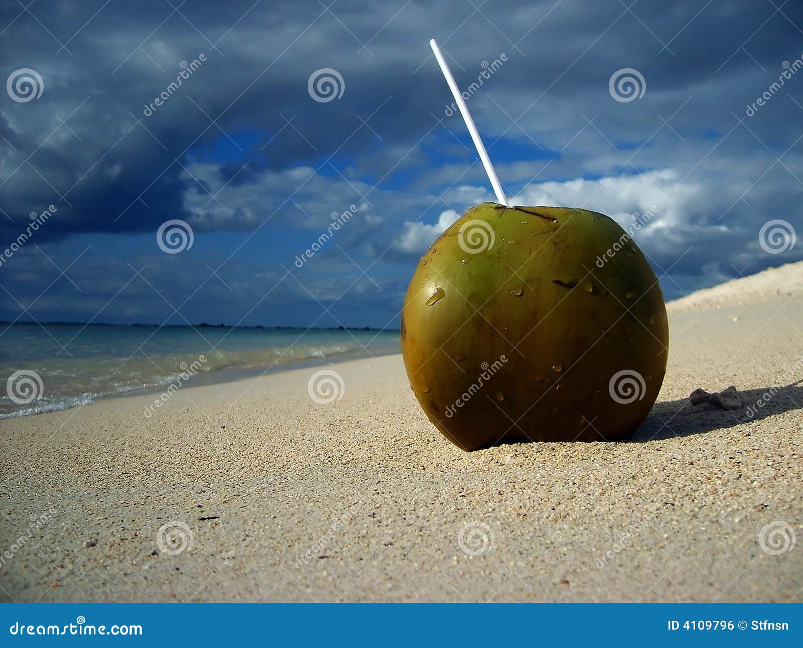 Open Coconut on Tropical Beach and by Water Stock Photo - Image of ...