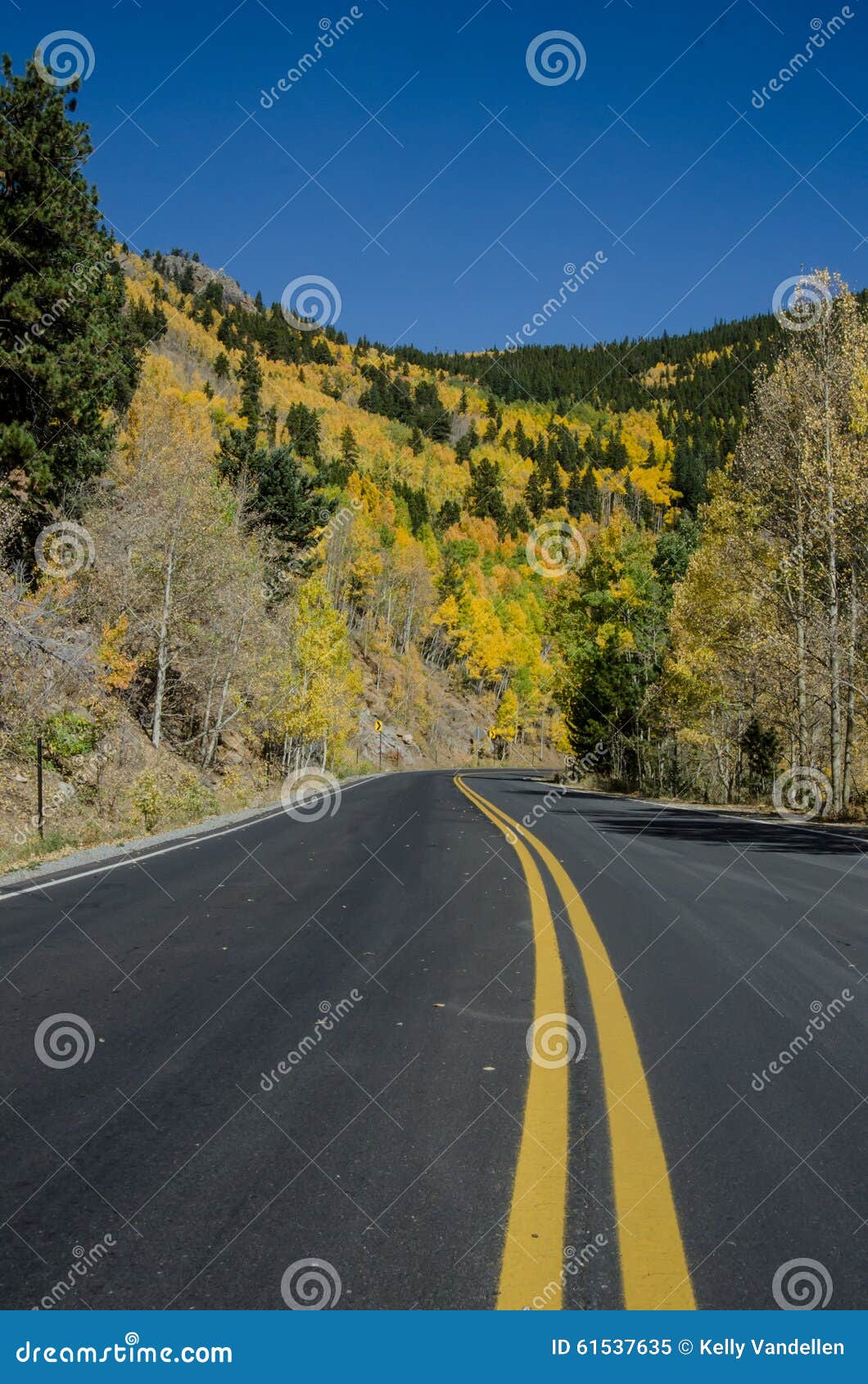 Open Colorado Mountain Road in Fall Stock Image - Image of wilderness ...