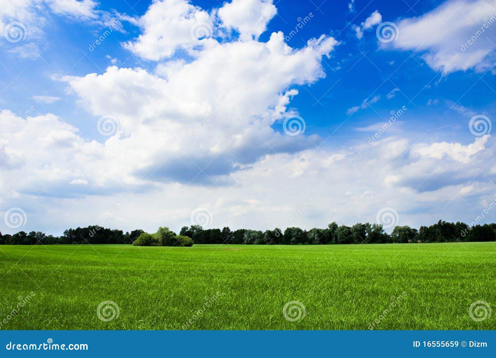 Open country stock image. Image of open, field, plant - 16555659