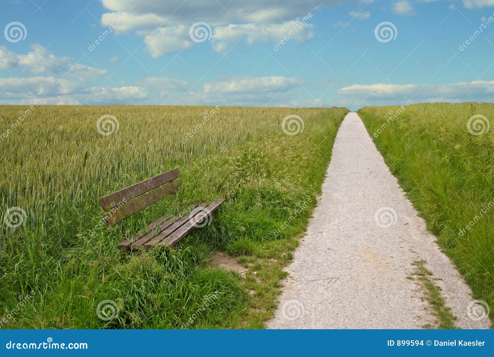 Open countryside stock photo. Image of panorama, road, grain - 899594