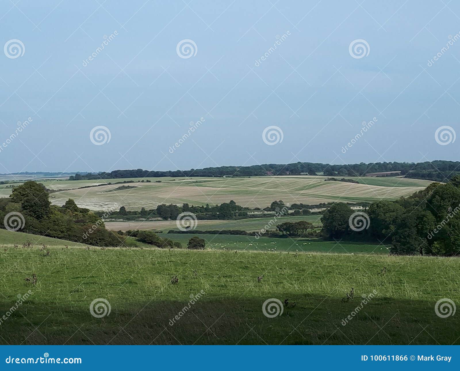 Open Countryside stock photo. Image of trees, landscape - 100611866