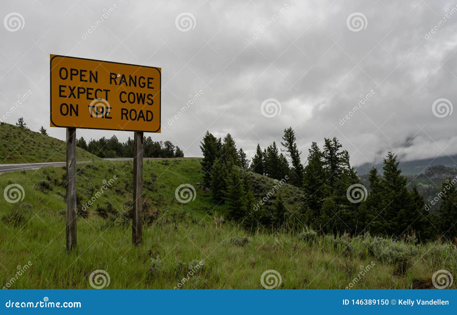 Open Cow Warning Sign stock photo. Image of agriculture - 146389150
