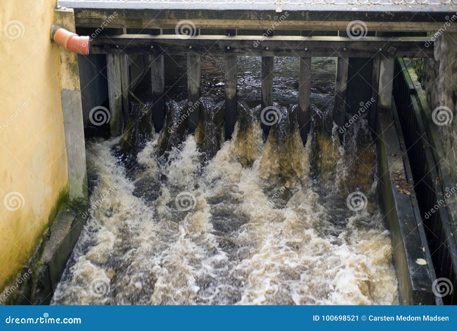 Open Danish weir stock image. Image of nature, closeup - 100698521