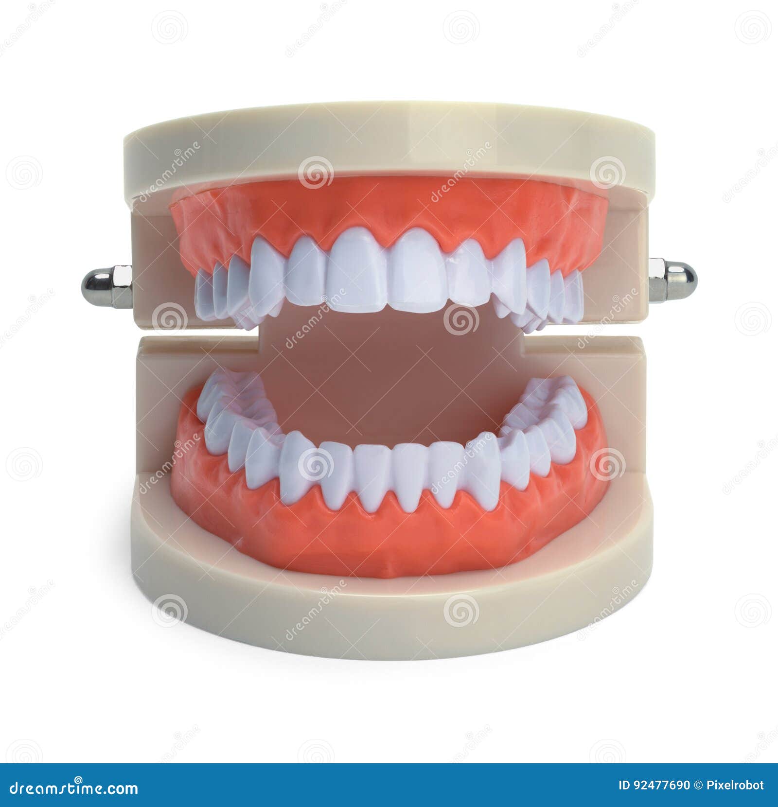 Open Dental Teeth stock photo. Image of plaster, dentures - 92477690