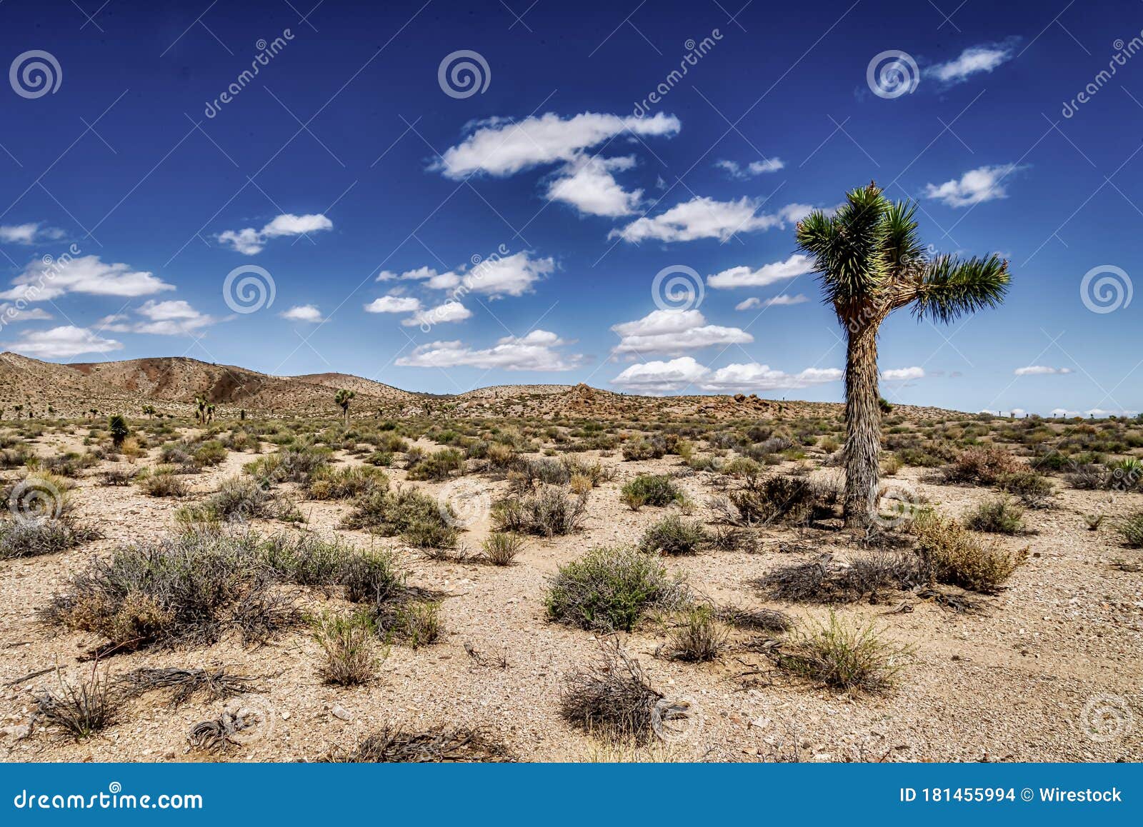 Open Desert Field with Beautiful Hills and a Cloudy Blue Sky in the ...