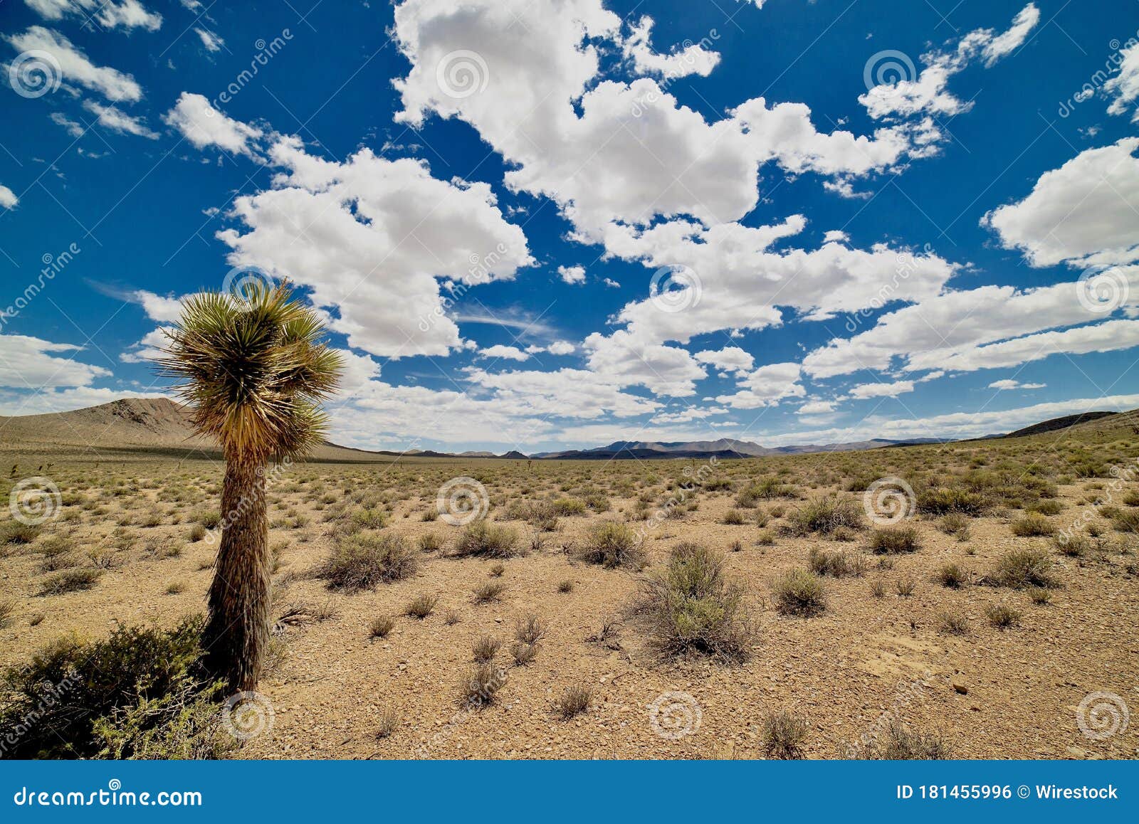 Open Desert Field with Mountains and a Cloudy Blue Sky in the ...