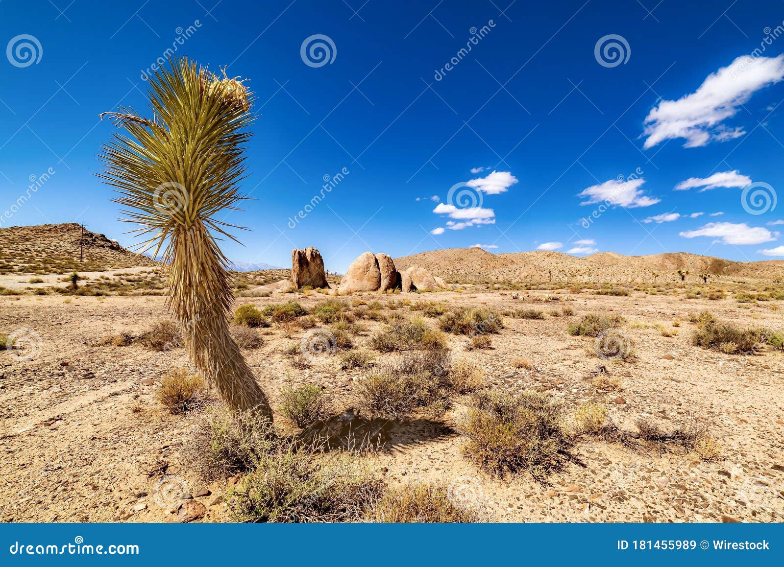 Open Desert Field with Sandy Hills and a Cloudy Blue Sky in the ...