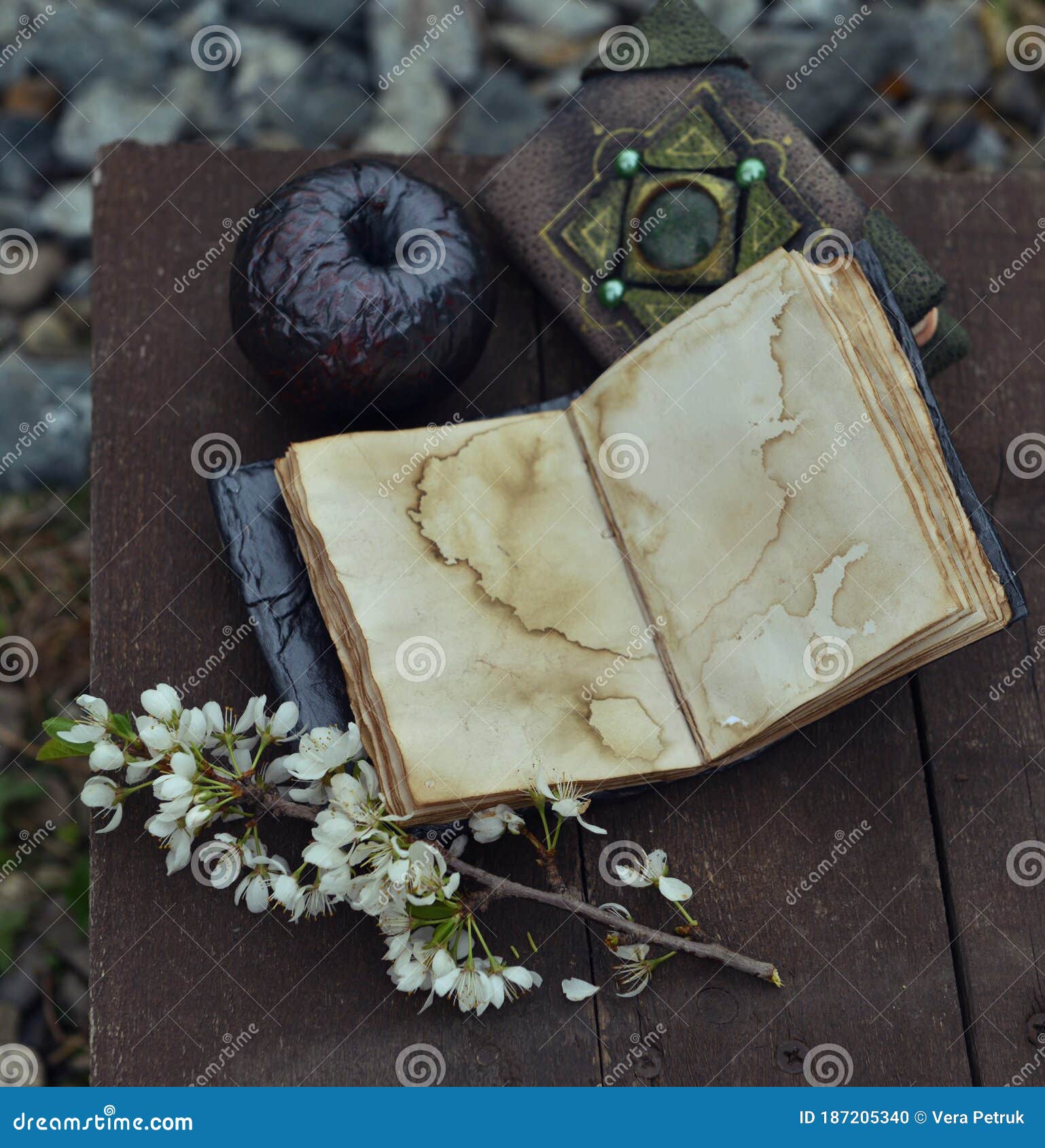 Open Diary with Empty Pages, Black Apple and Decorated Book with ...