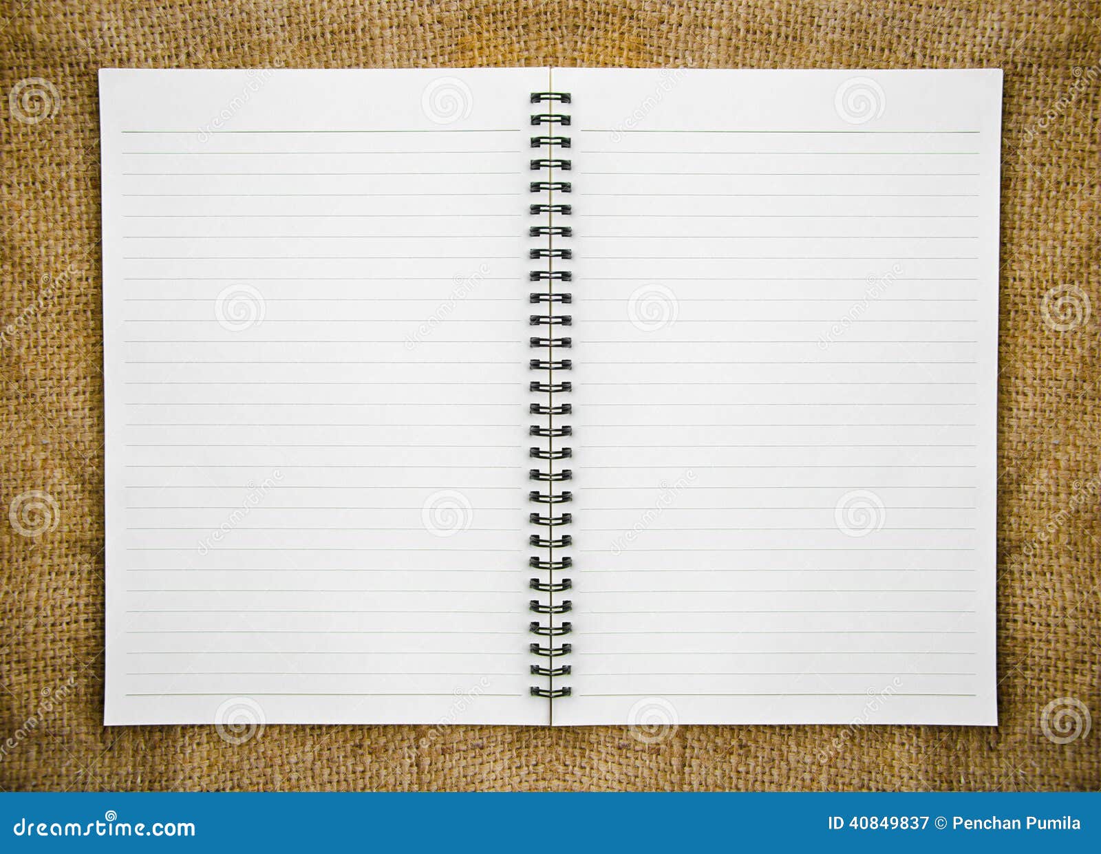 Open Diary Royalty-Free Stock Photography | CartoonDealer.com #32885609