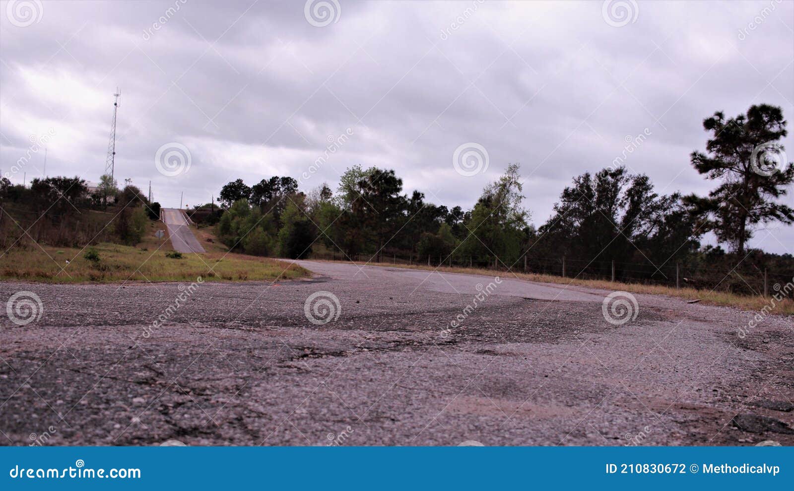 Open Dirt Road In Green Forest In Wetland Royalty-Free Stock ...