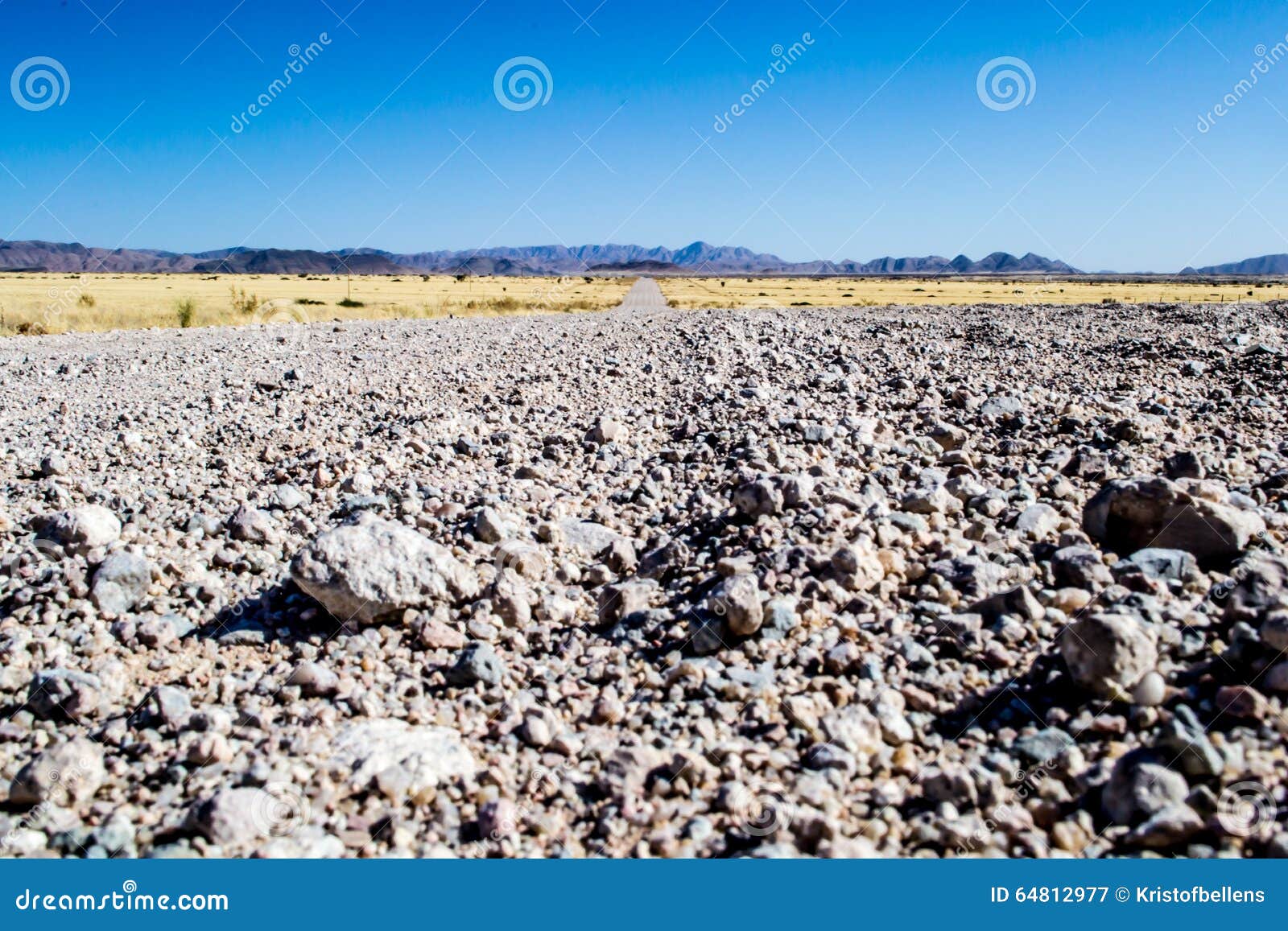 Open Dirt Road In Green Forest In Wetland Royalty-Free Stock ...