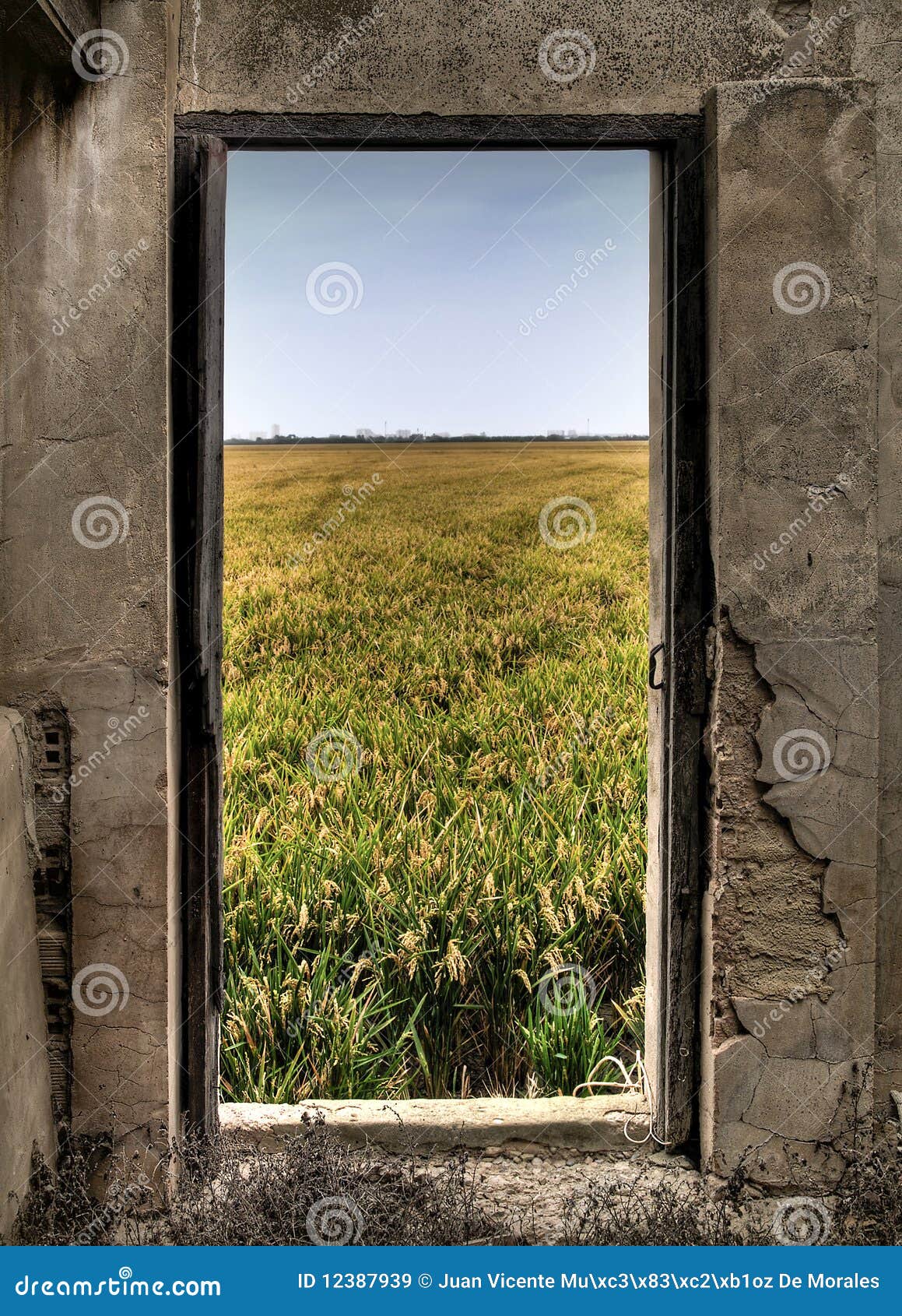 Open Door stock image. Image of frame, paddy, symbol - 12387939