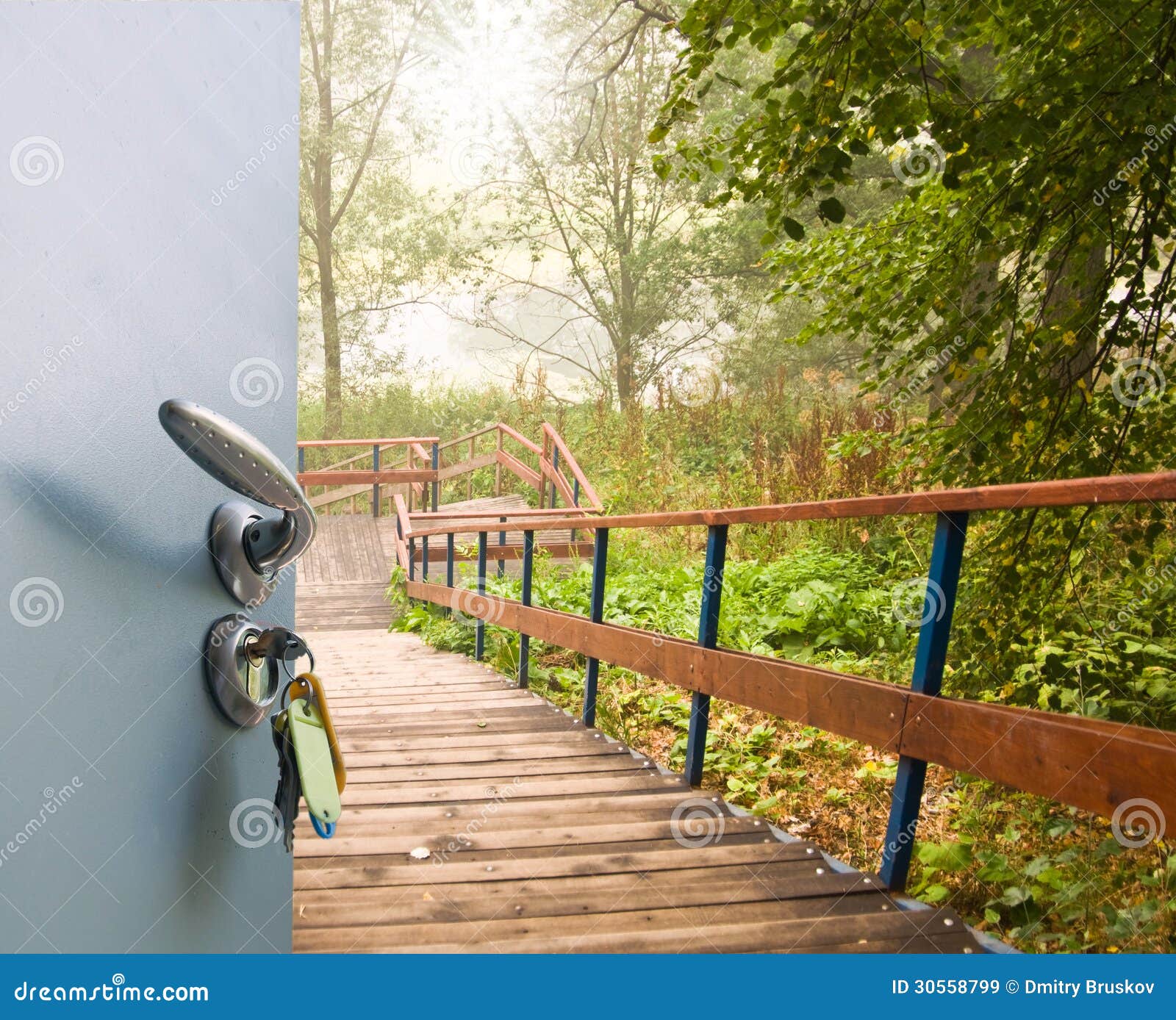 Open door ladder stock image. Image of home, backgrounds - 30558799