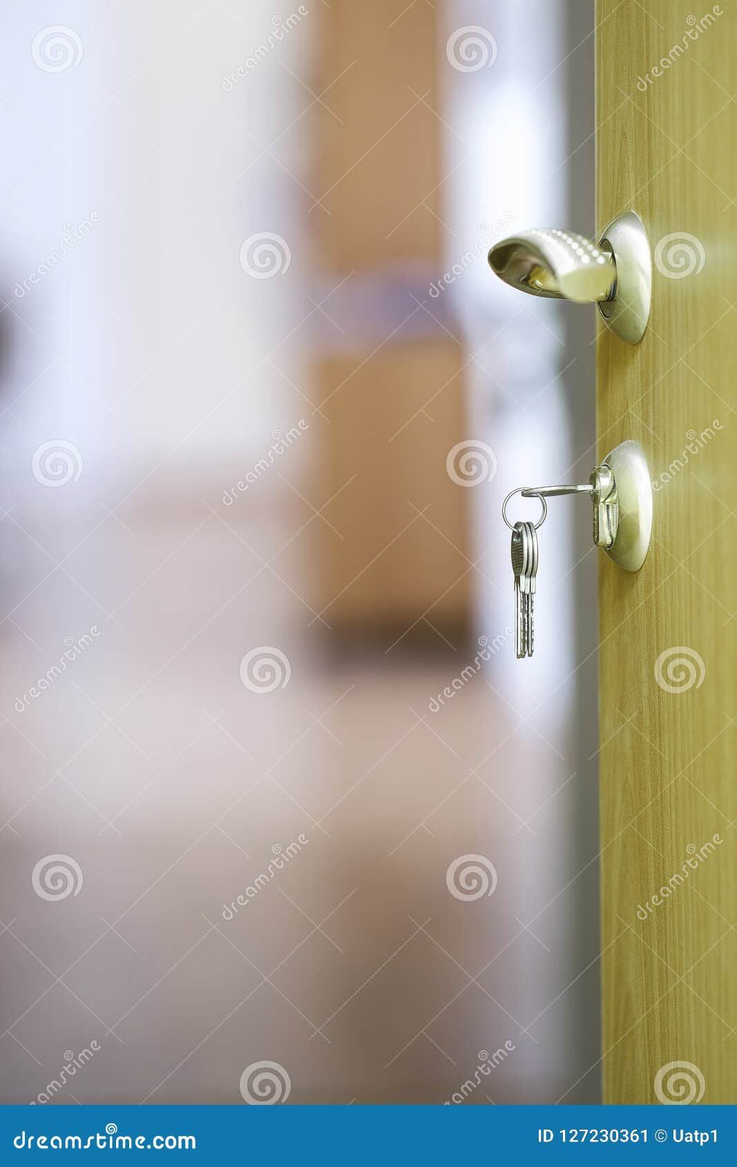 Open door with the lock stock image. Image of apartment - 127230361
