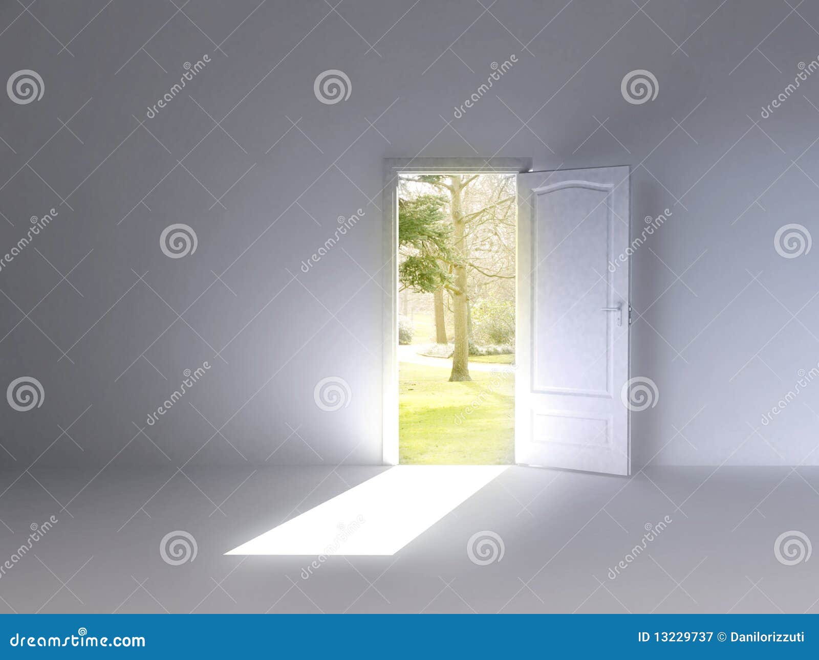 Open door to garden stock image. Image of view, summertime - 13229737