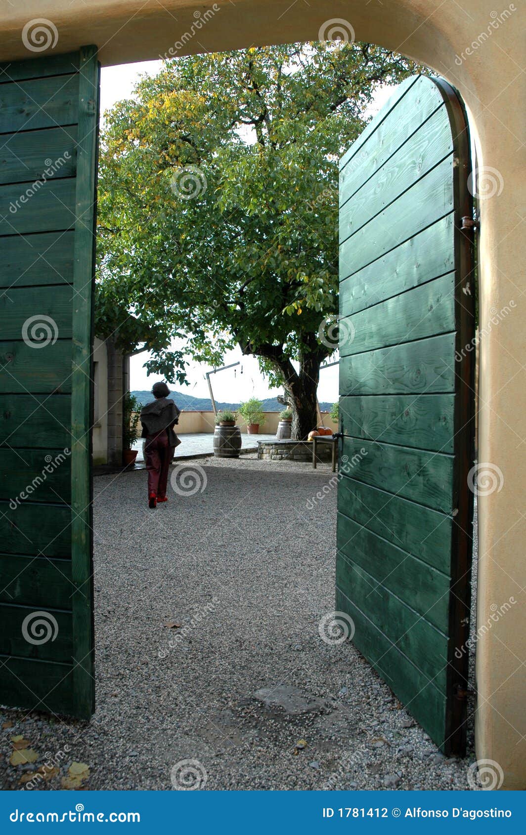 Open door with tree stock photo. Image of vision, theme - 1781412