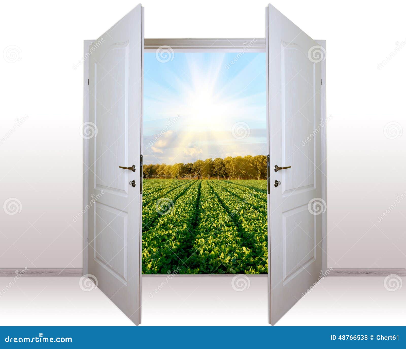 Open door stock photo. Image of ecology, freshness, exit - 48766538