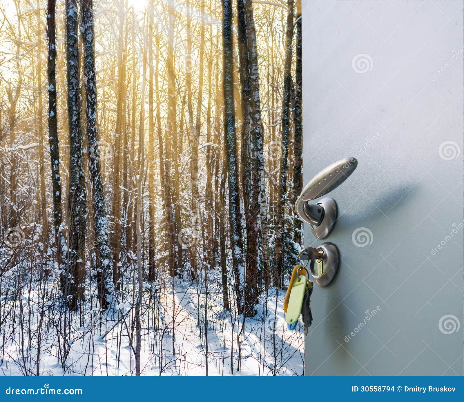 Open Door and a Winter Forest Stock Photo - Image of design, interior ...