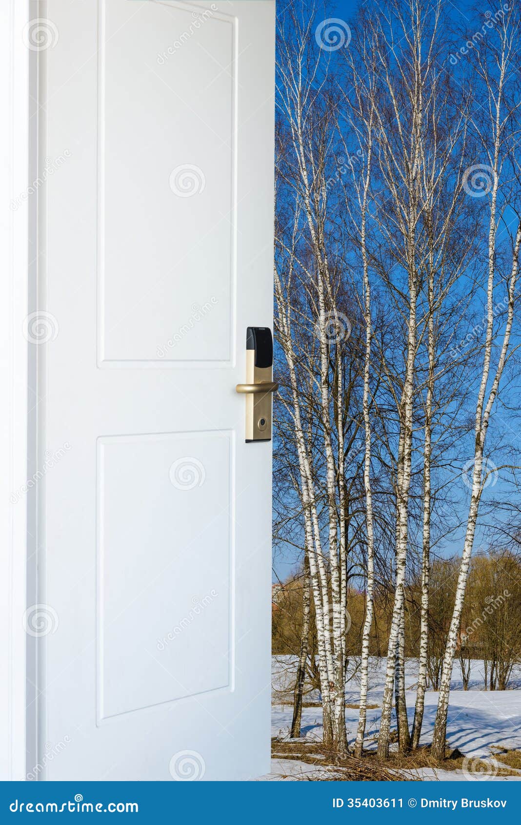 Open Door and a Winter Forest Stock Image - Image of interior, closeup ...