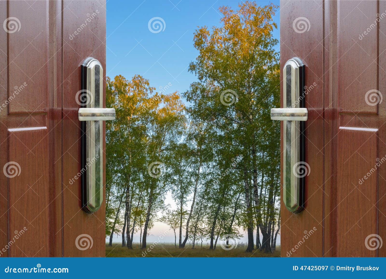 Open Door and a Winter Forest Stock Image - Image of metal, interior ...