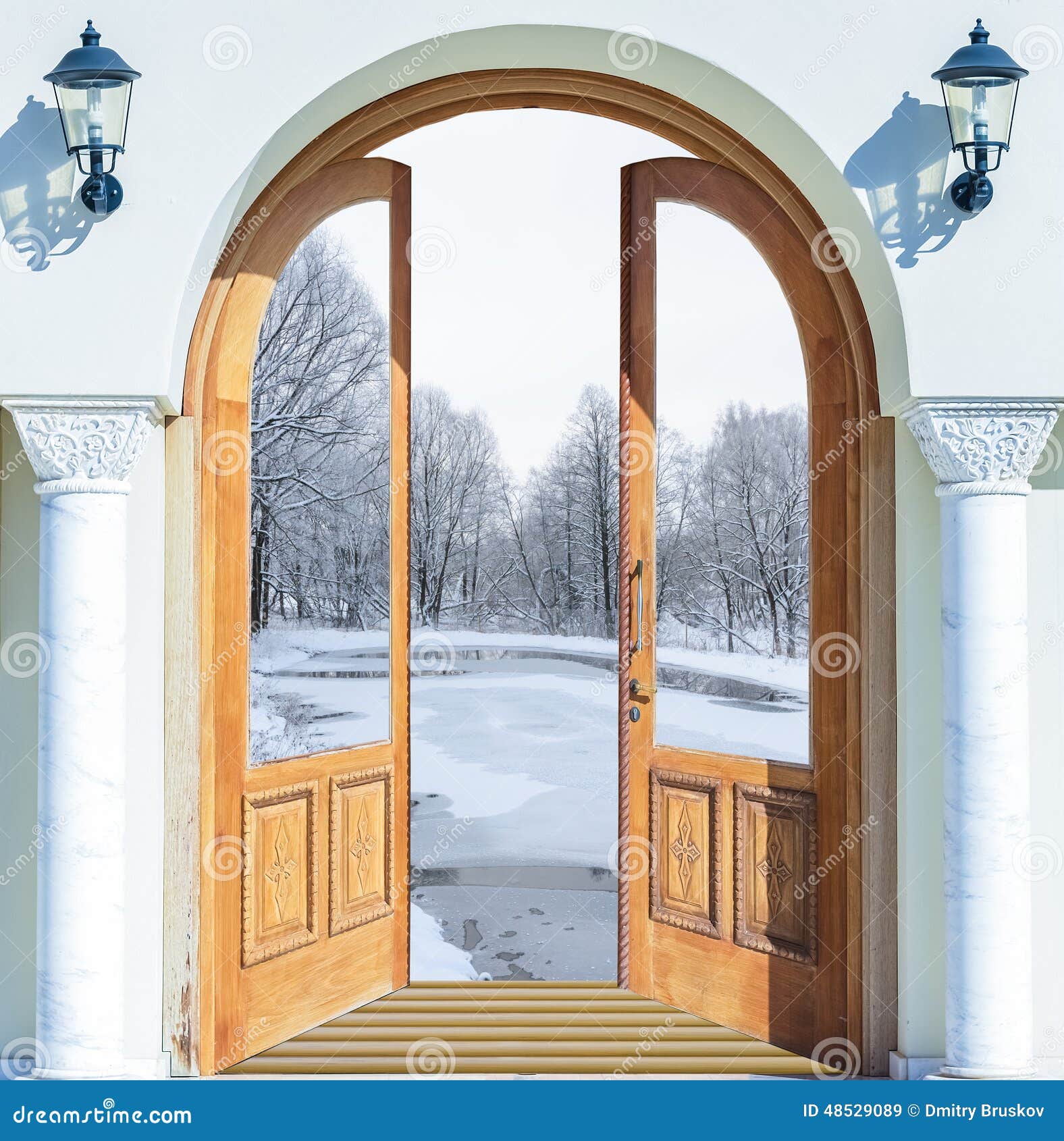 Open Door and a Winter Forest Stock Image - Image of cold, detail: 48529089